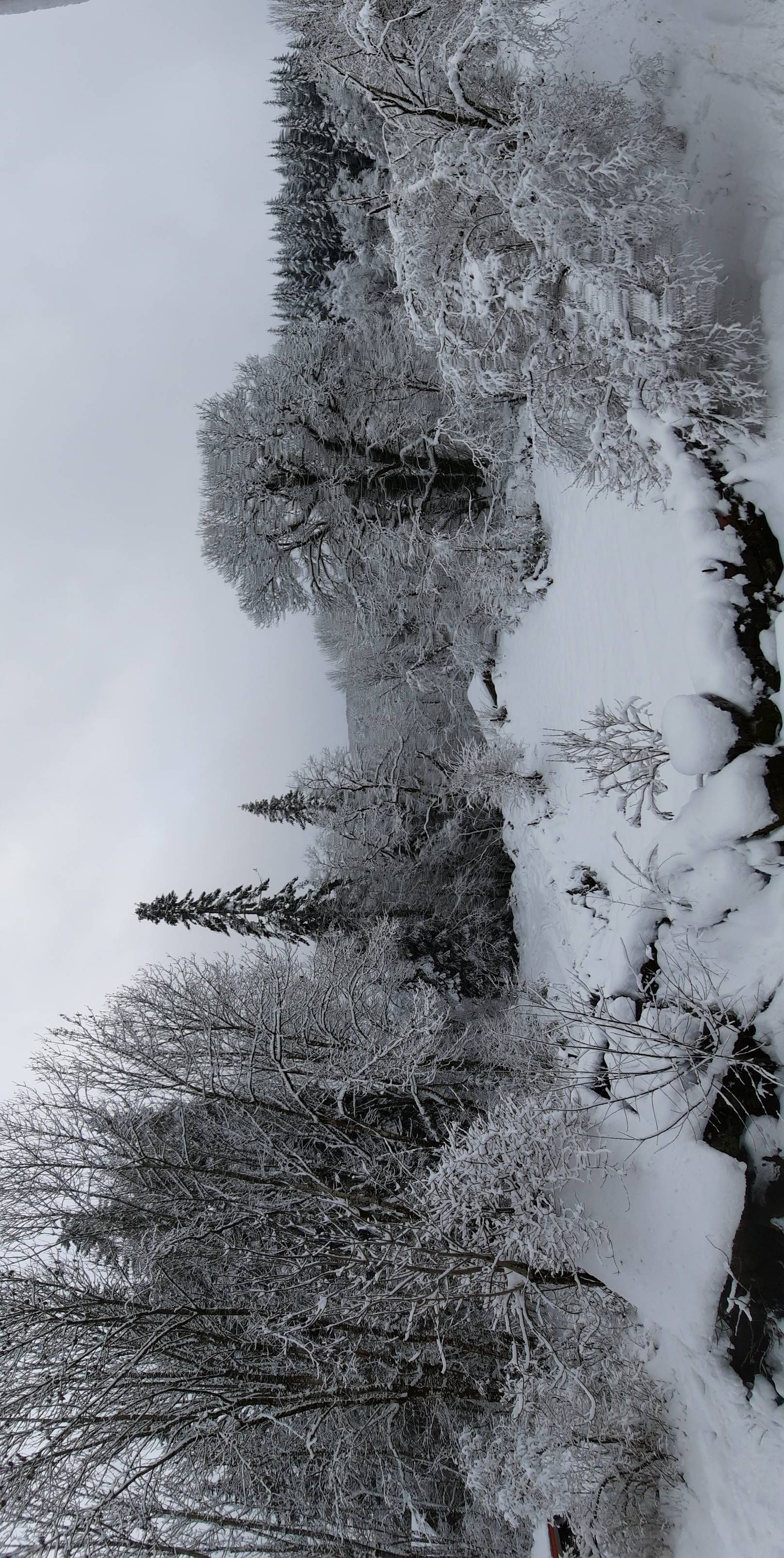 Winter or spring ? - Samsung Community