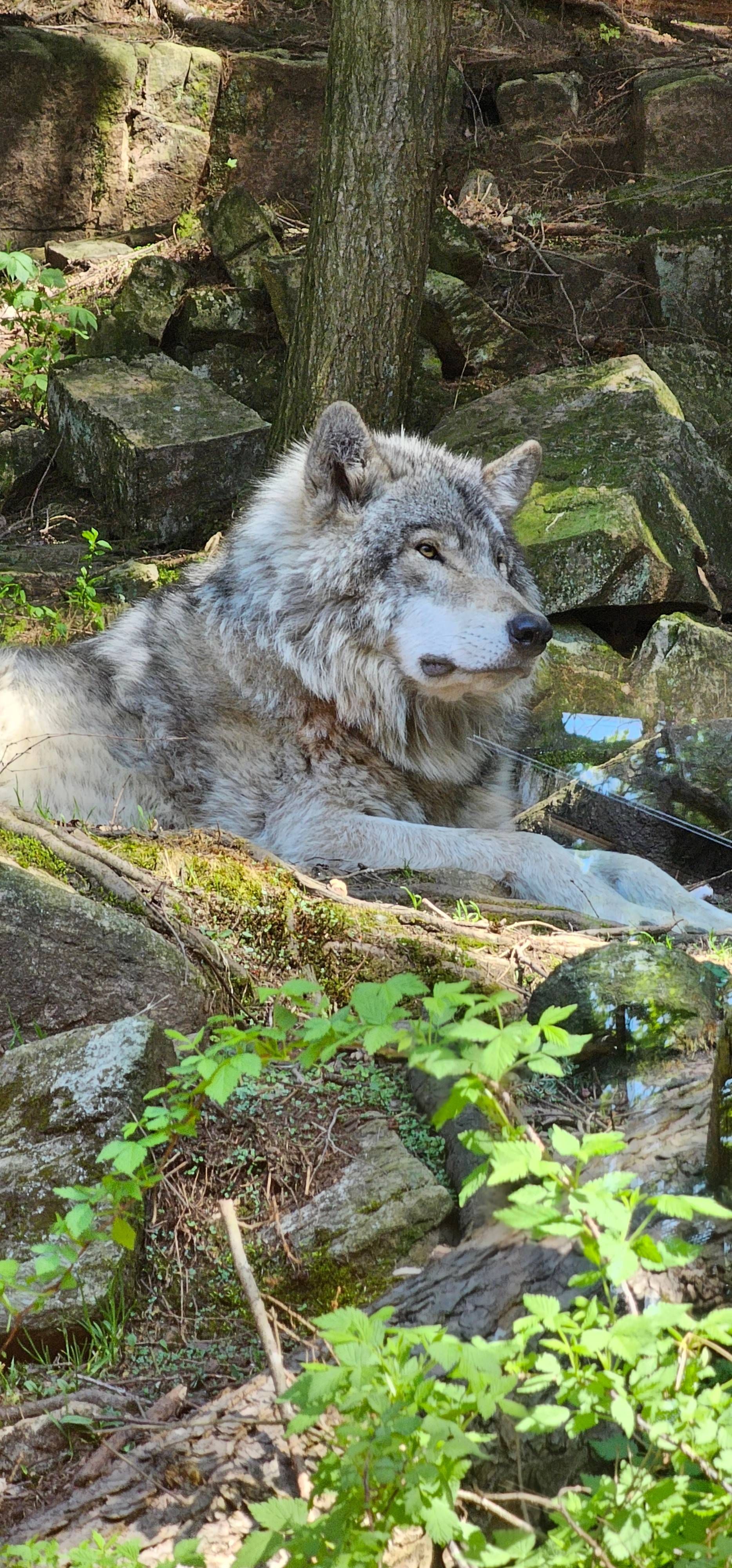 Parc oméga (Montebello) - Samsung Community