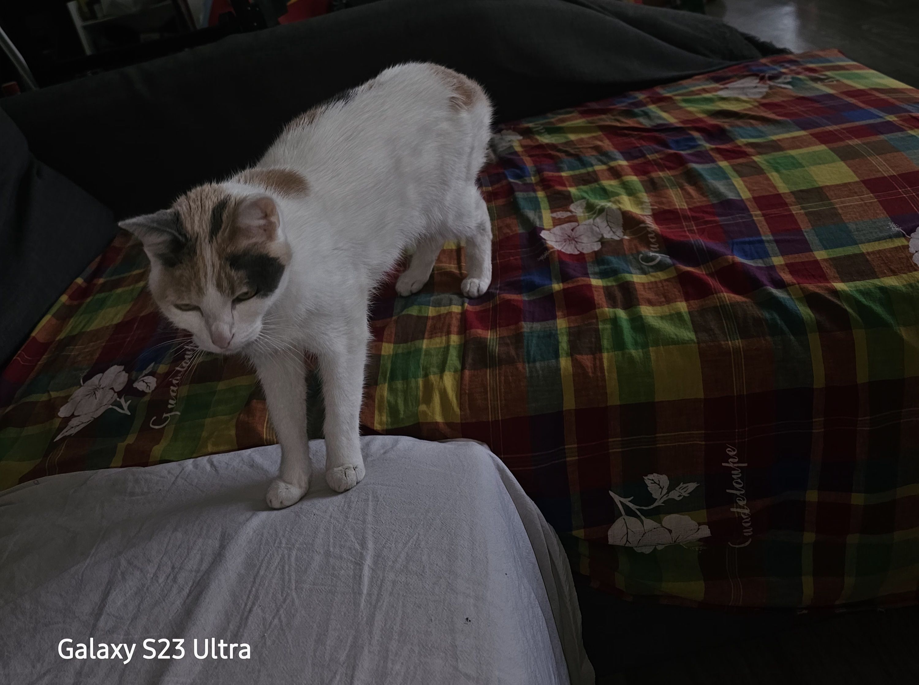 Chat blaser - Samsung Community