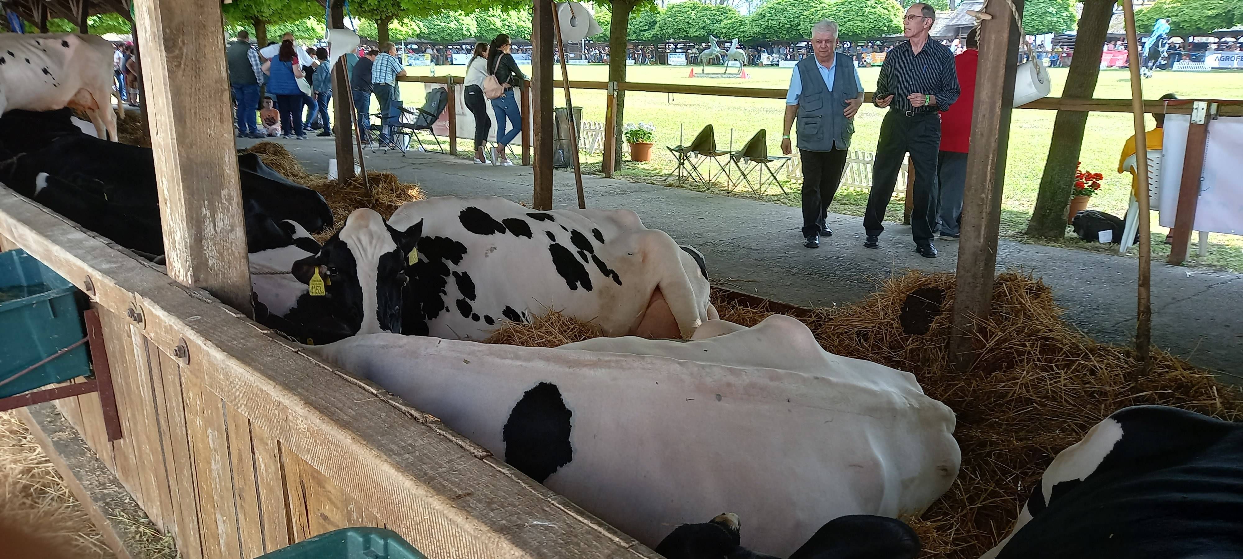 Bocik - Samsung Community