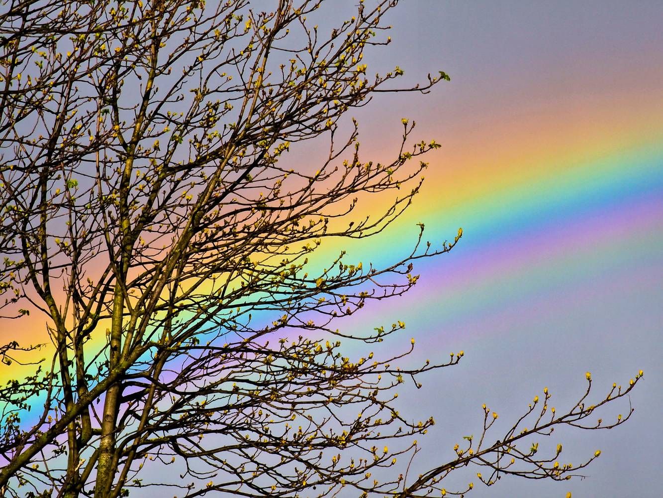 Zoom X10 , s22 Ultra - Samsung Community