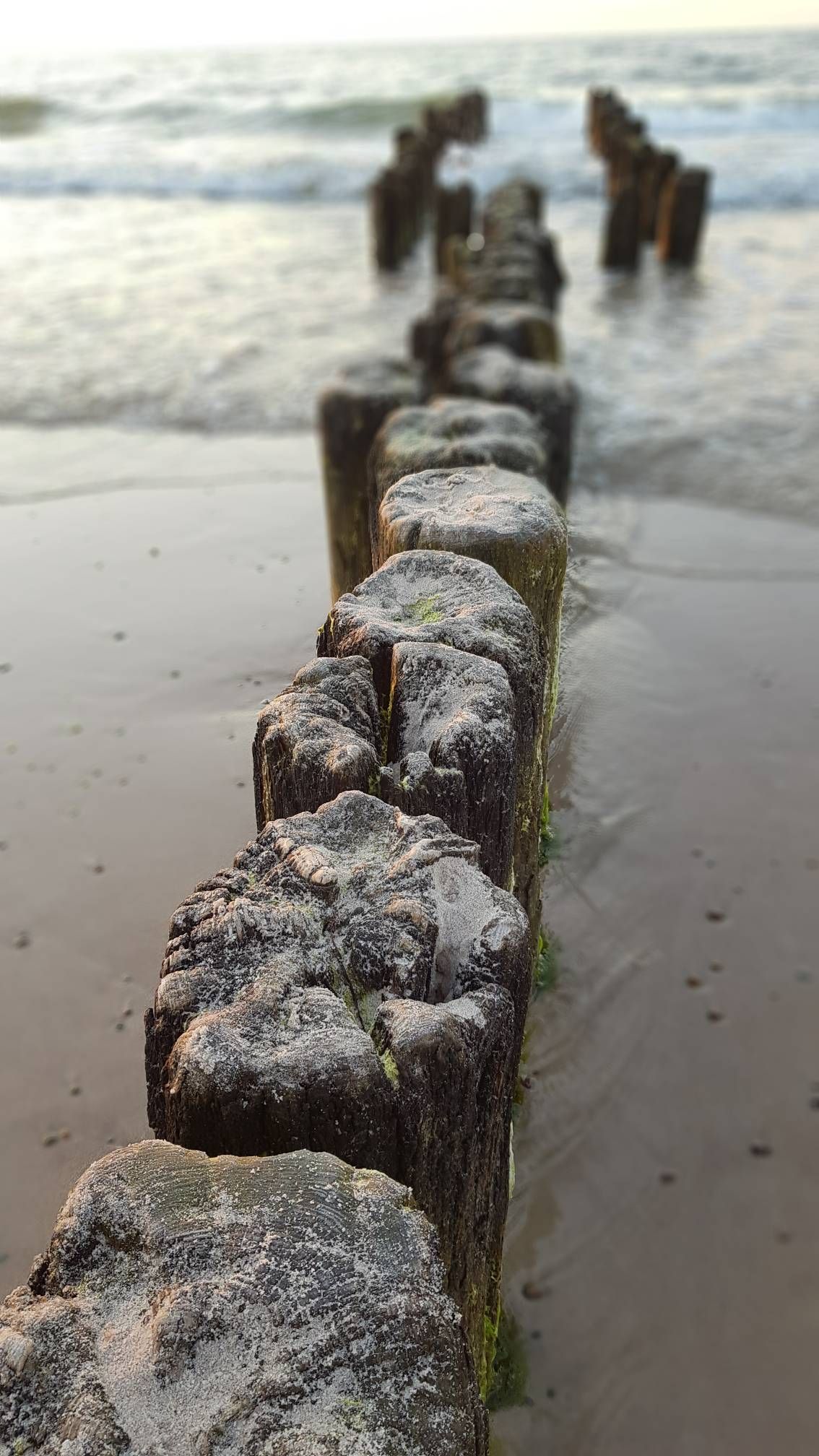 Natur1 - Samsung Community