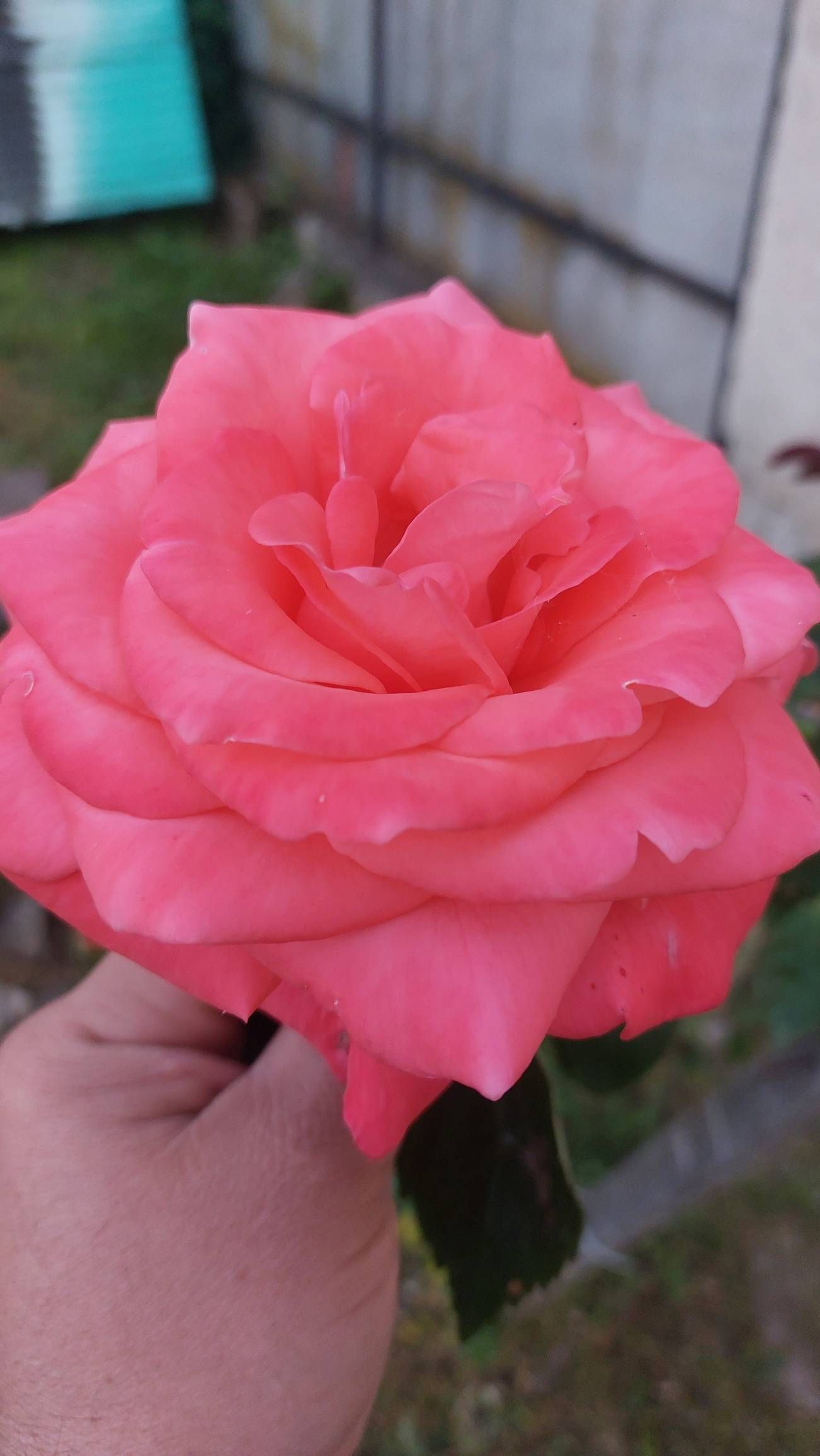 Nyár - Samsung Community