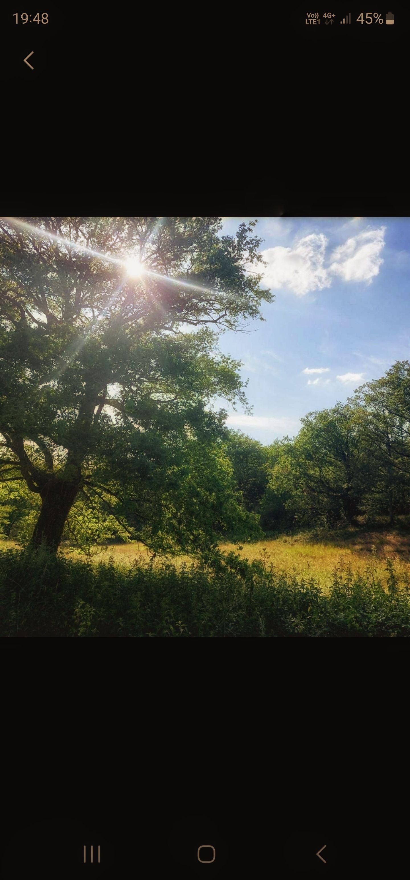 Dimanche à la campagne .... - Page 2 - Samsung Community