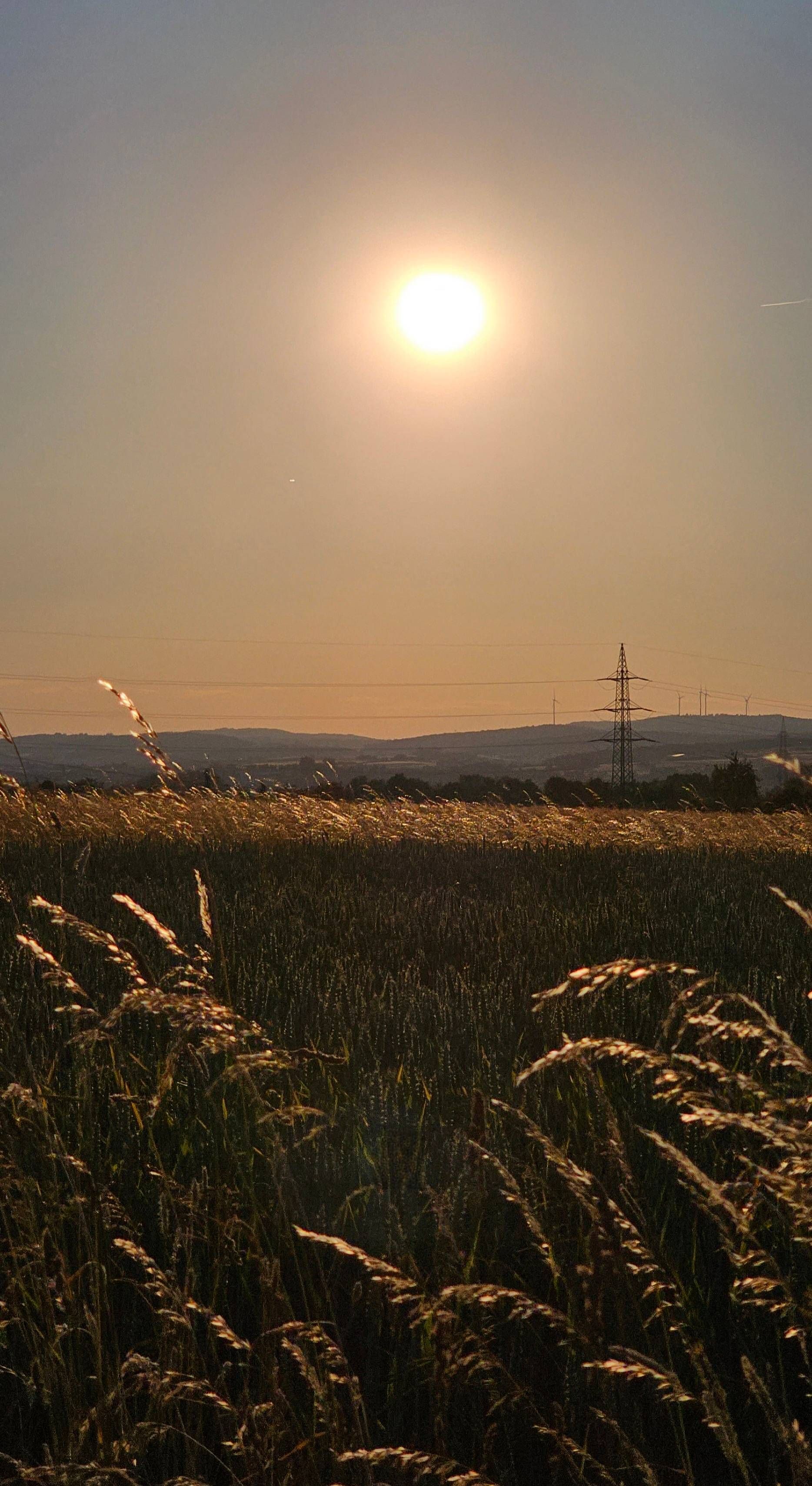 Und von mir ein "Gute Nacht" - Samsung Community