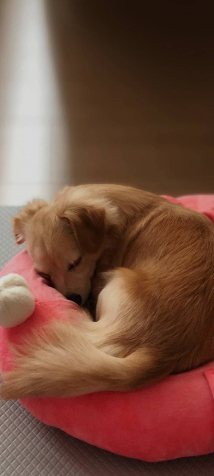 Happy Day - Samsung Community