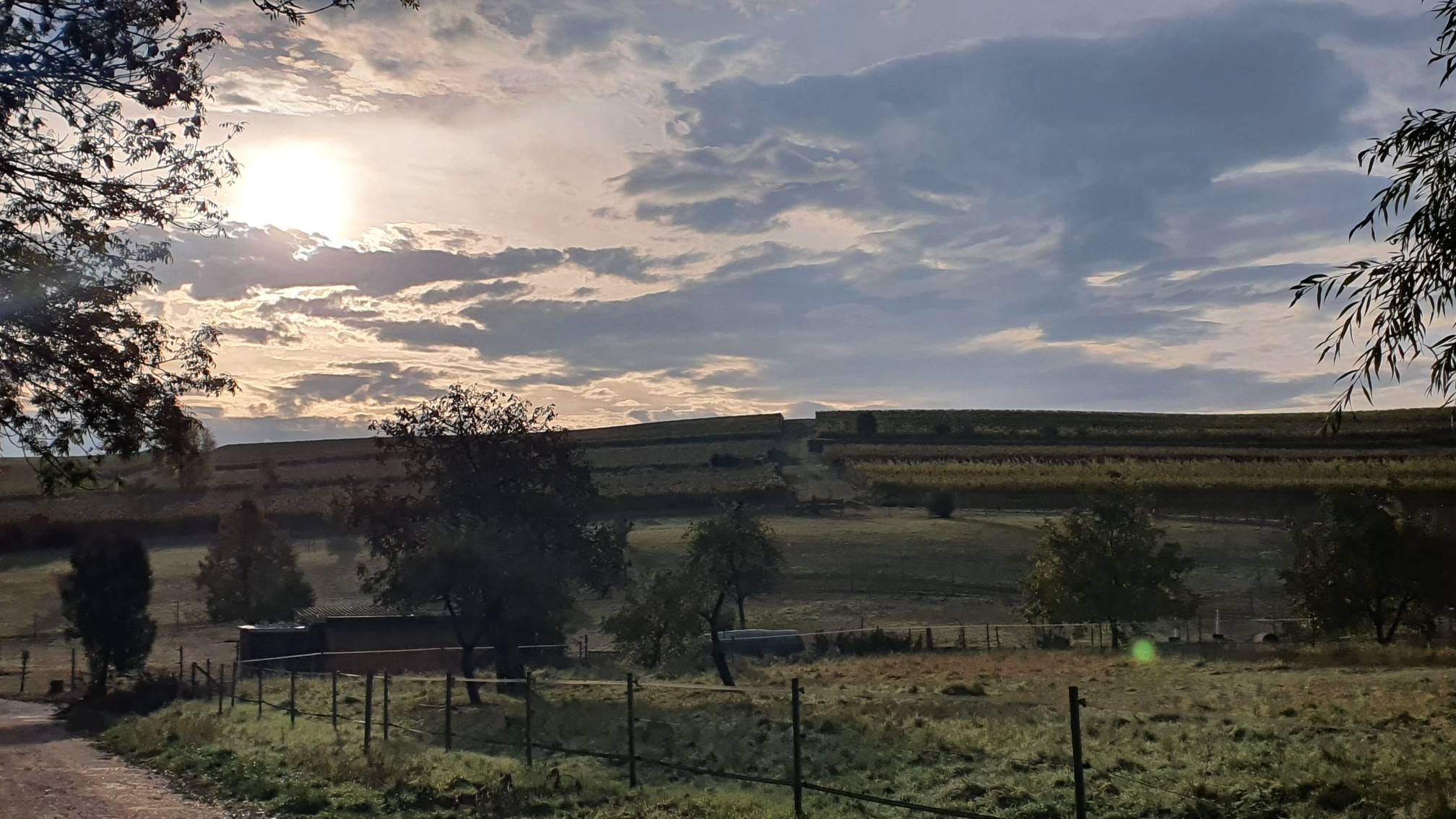 Mal ausnahmsweise SoUnGa 🌅 - Samsung Community