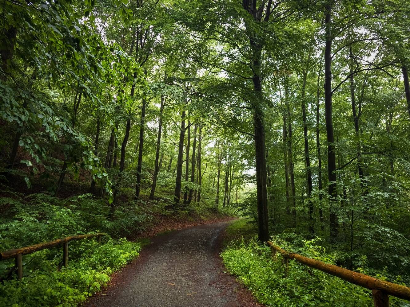 Harzer Wälder - Natur pur 🥰 – Seite 2 - Samsung Community