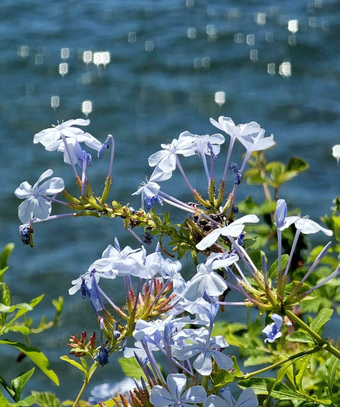 Balade du dimanche après-midi - Samsung Community