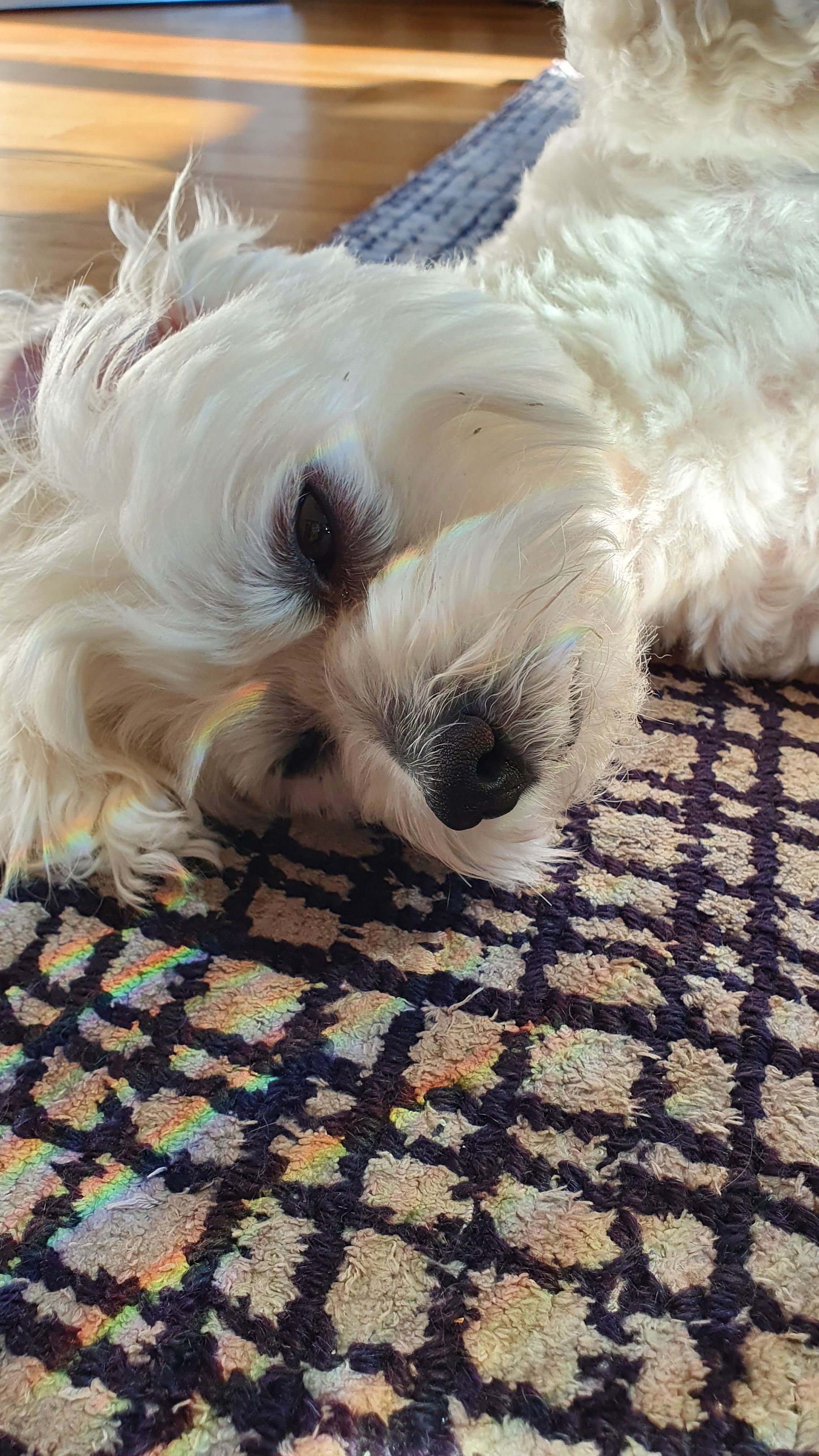 Fluffy Rainbow Cloud - Samsung Community