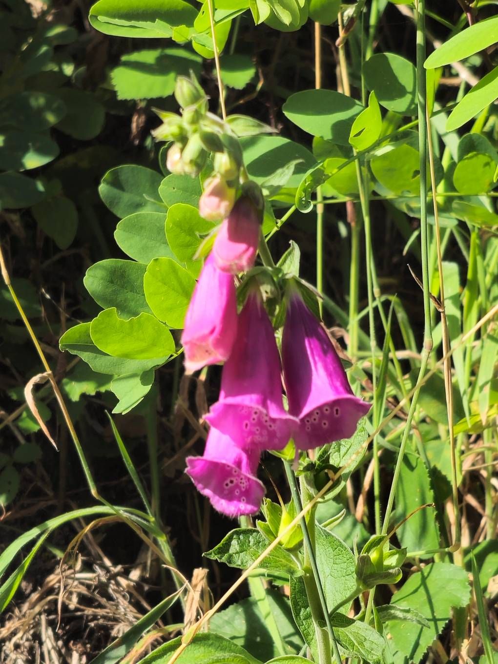 Troques. - Samsung Community