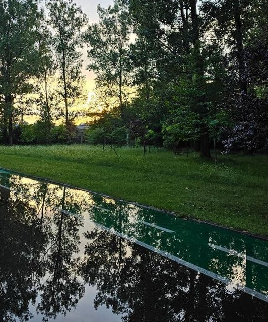 Poze s23 ultra - Samsung Community