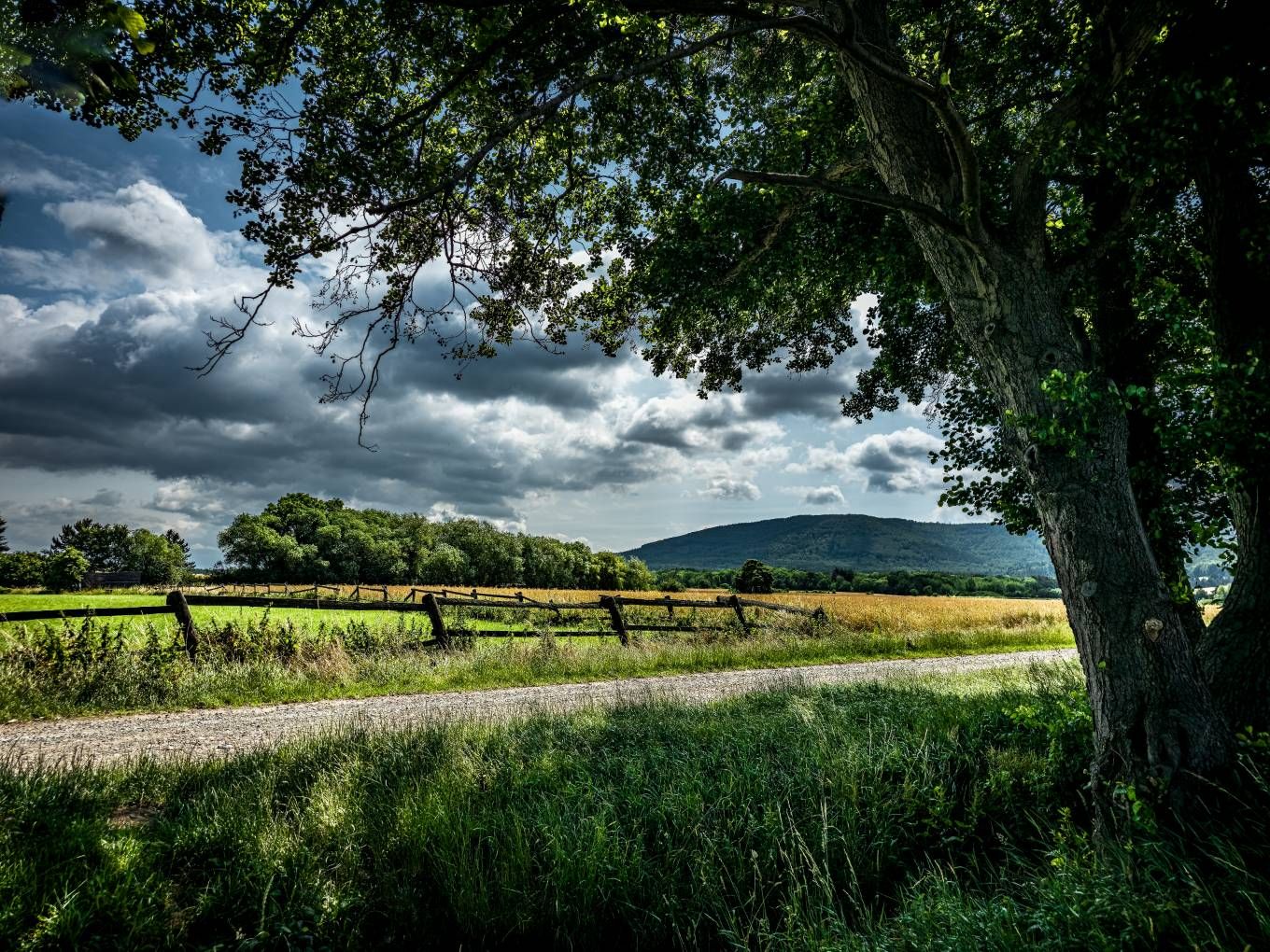 Kleines Natur Paradies 🥰 - Samsung Community