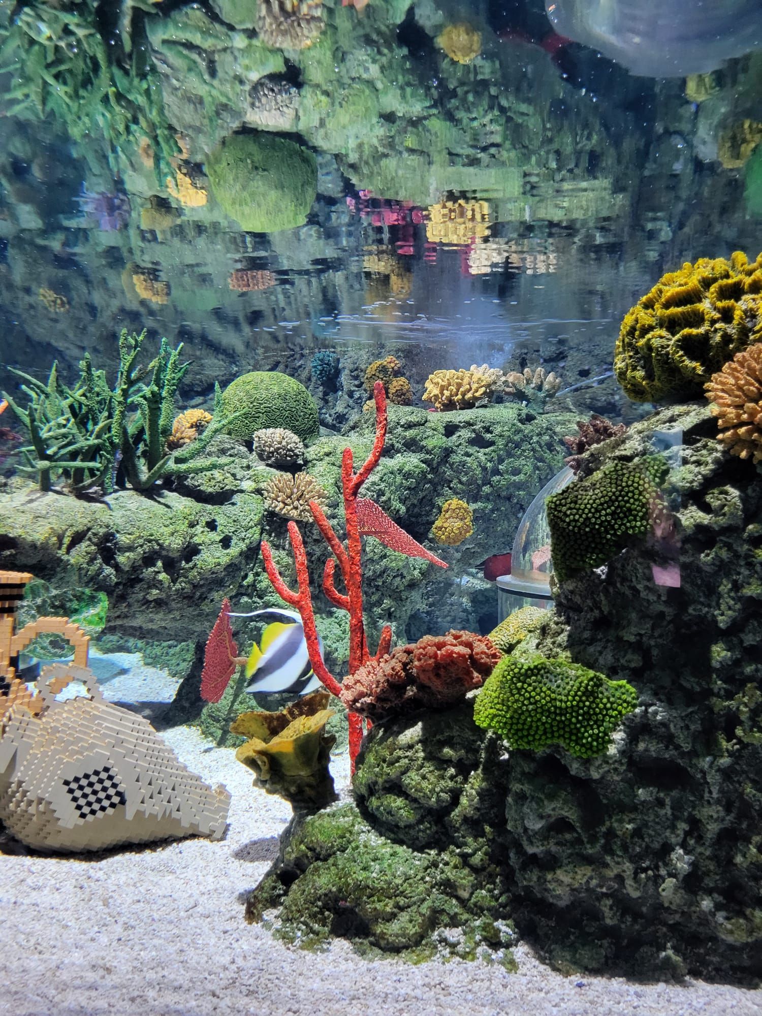 Like a fish - Samsung Community