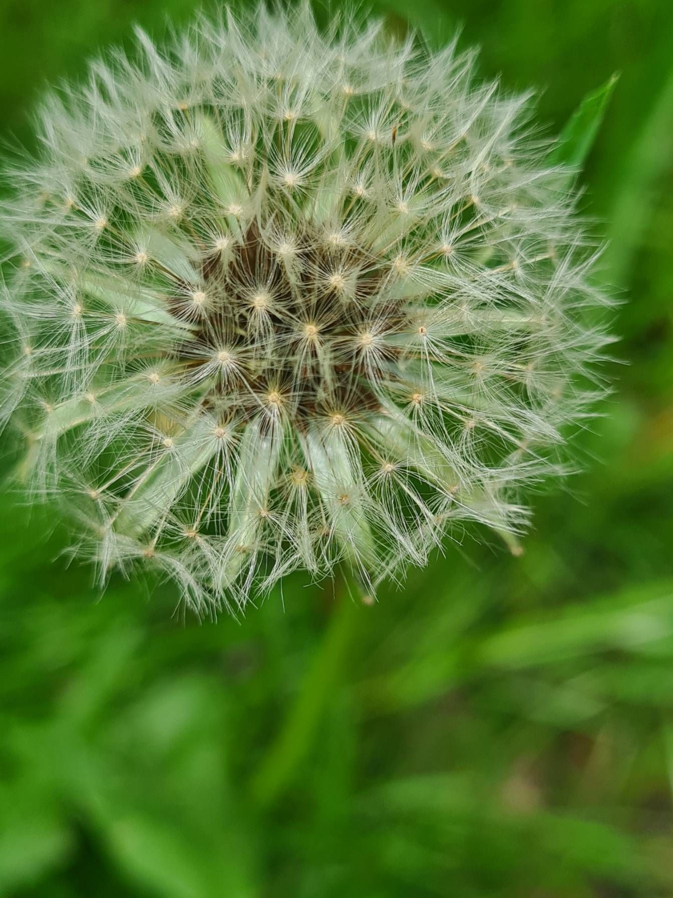 Ehret Mutter Natur - Samsung Community