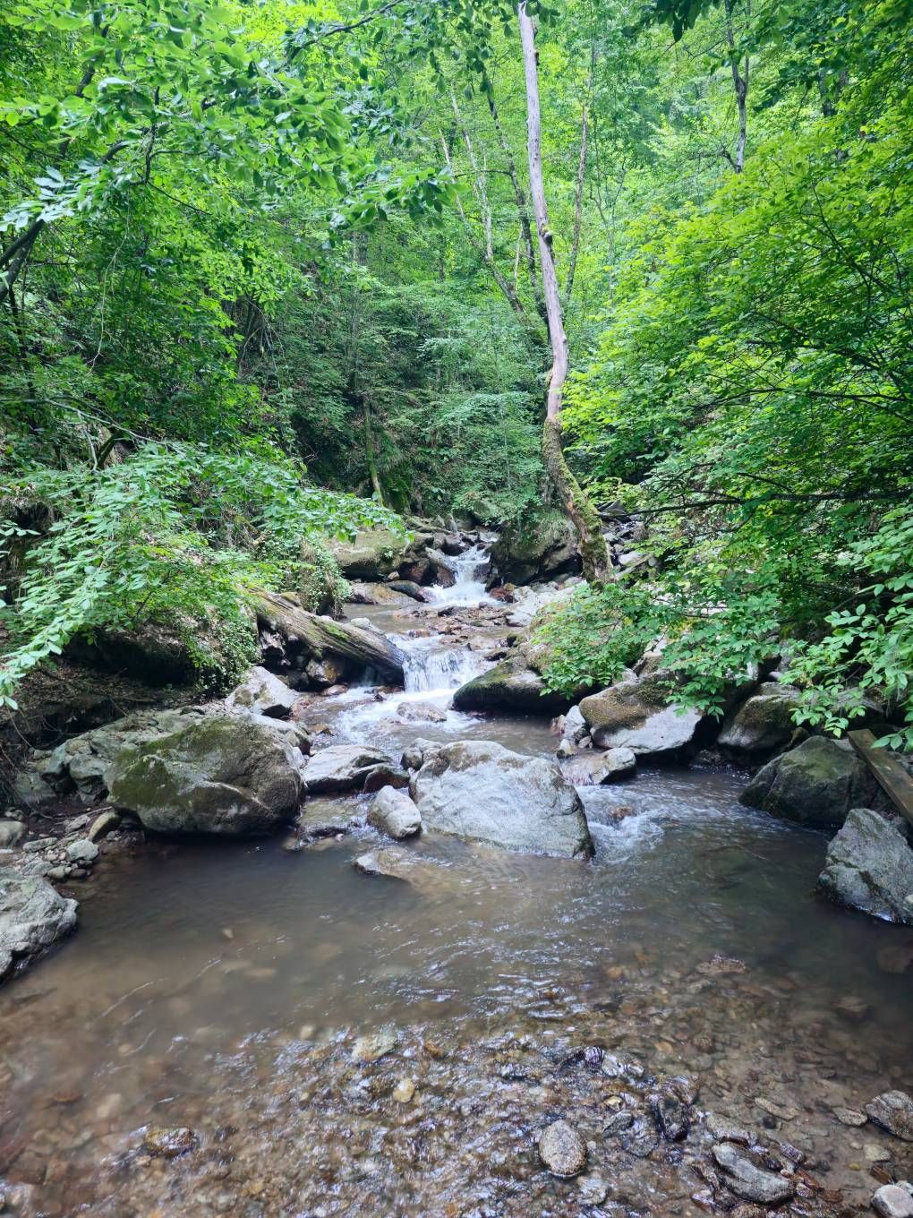 Oylat Waterfall - Samsung Community