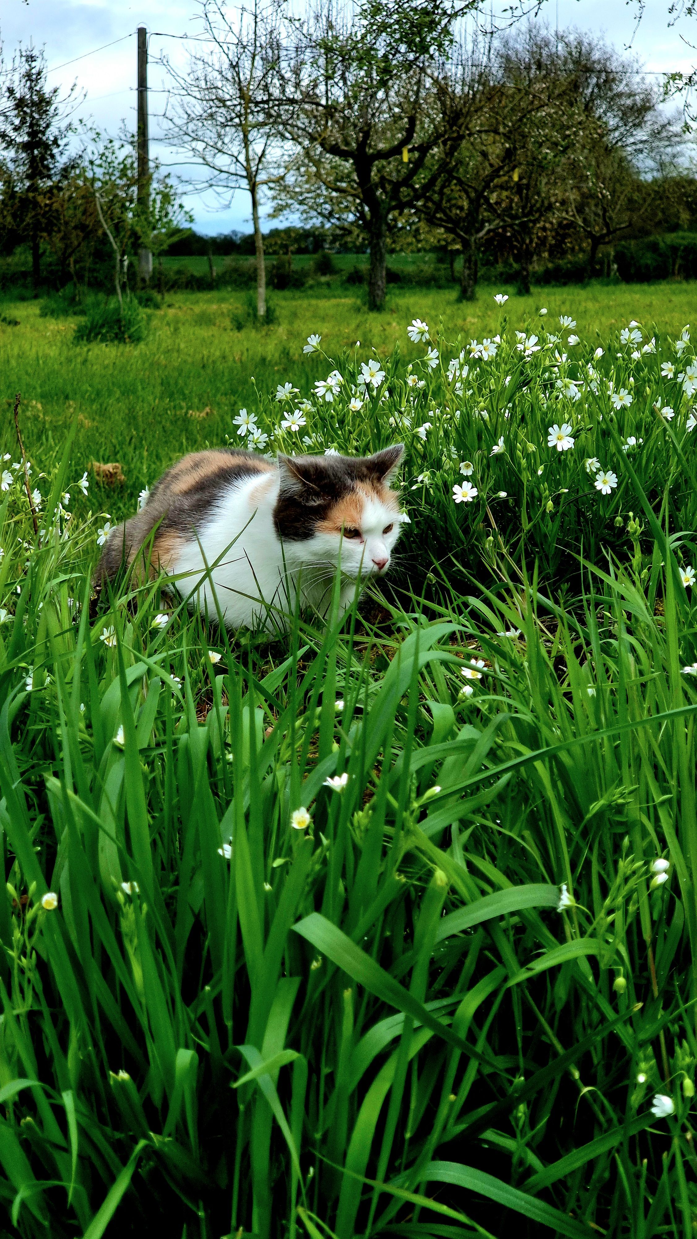 Kinoo - Samsung Community