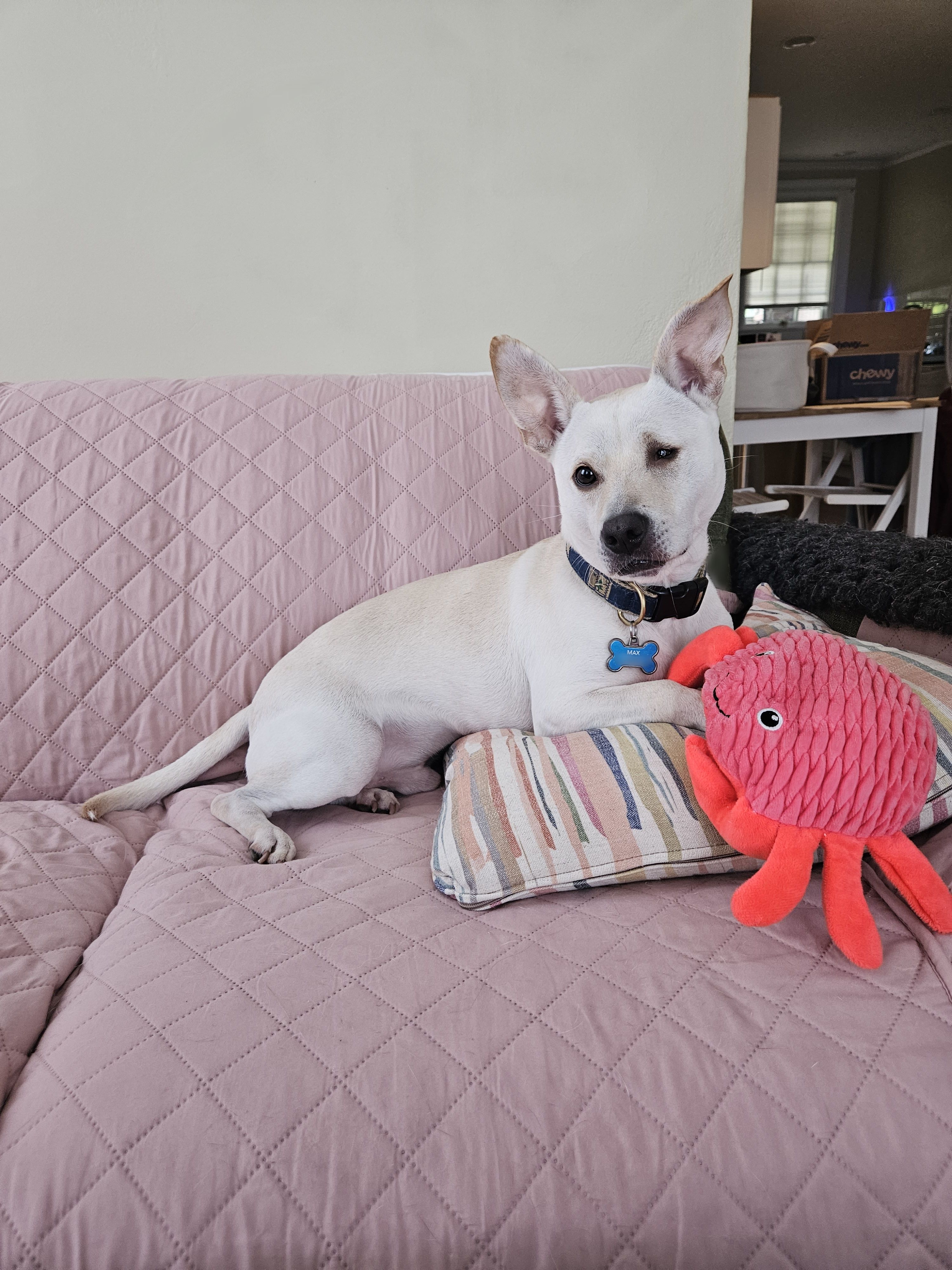 S23 ultra, How to turn off pictures Refining - Samsung Community