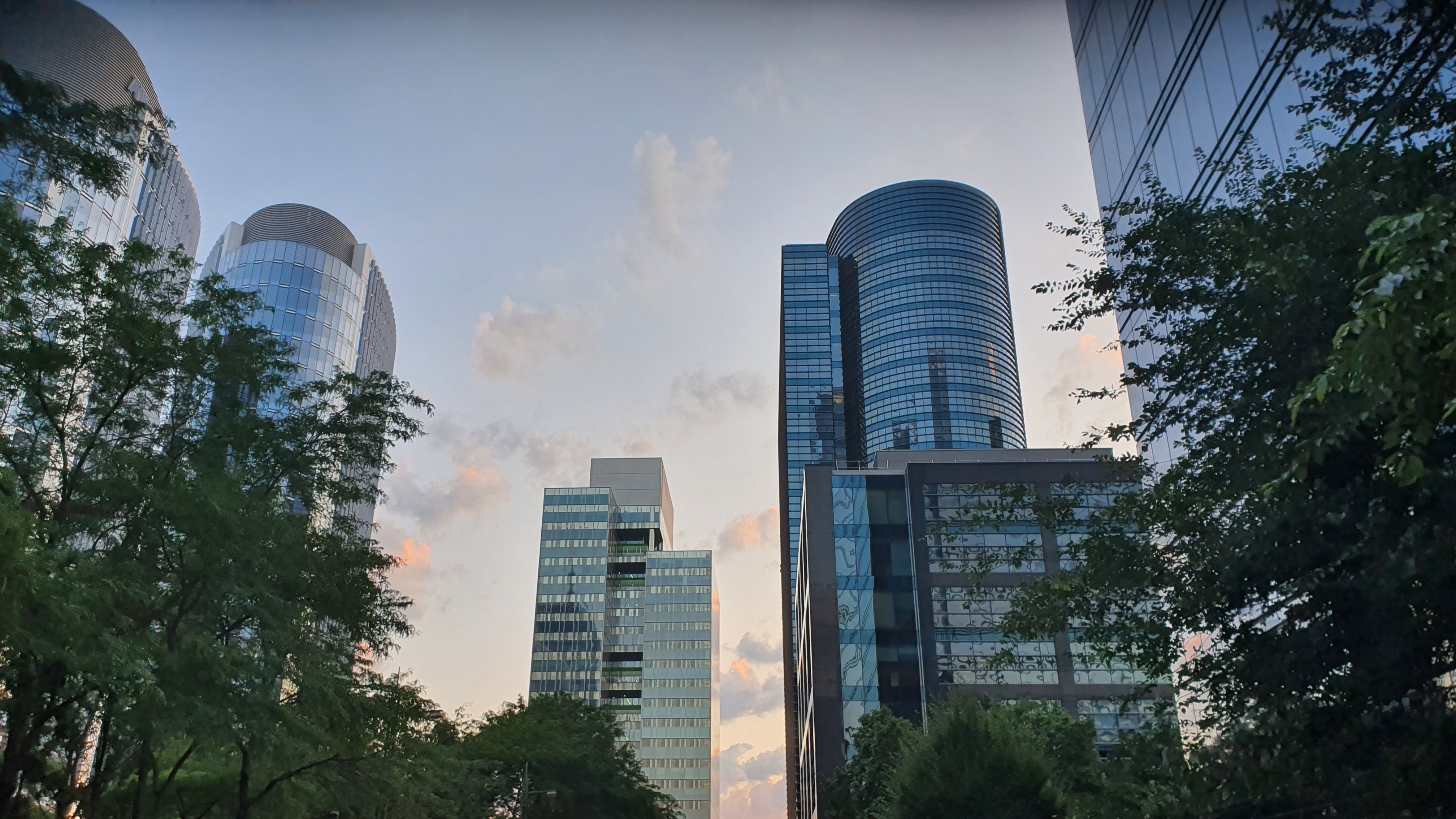 Skycrapers among trees - Samsung Community