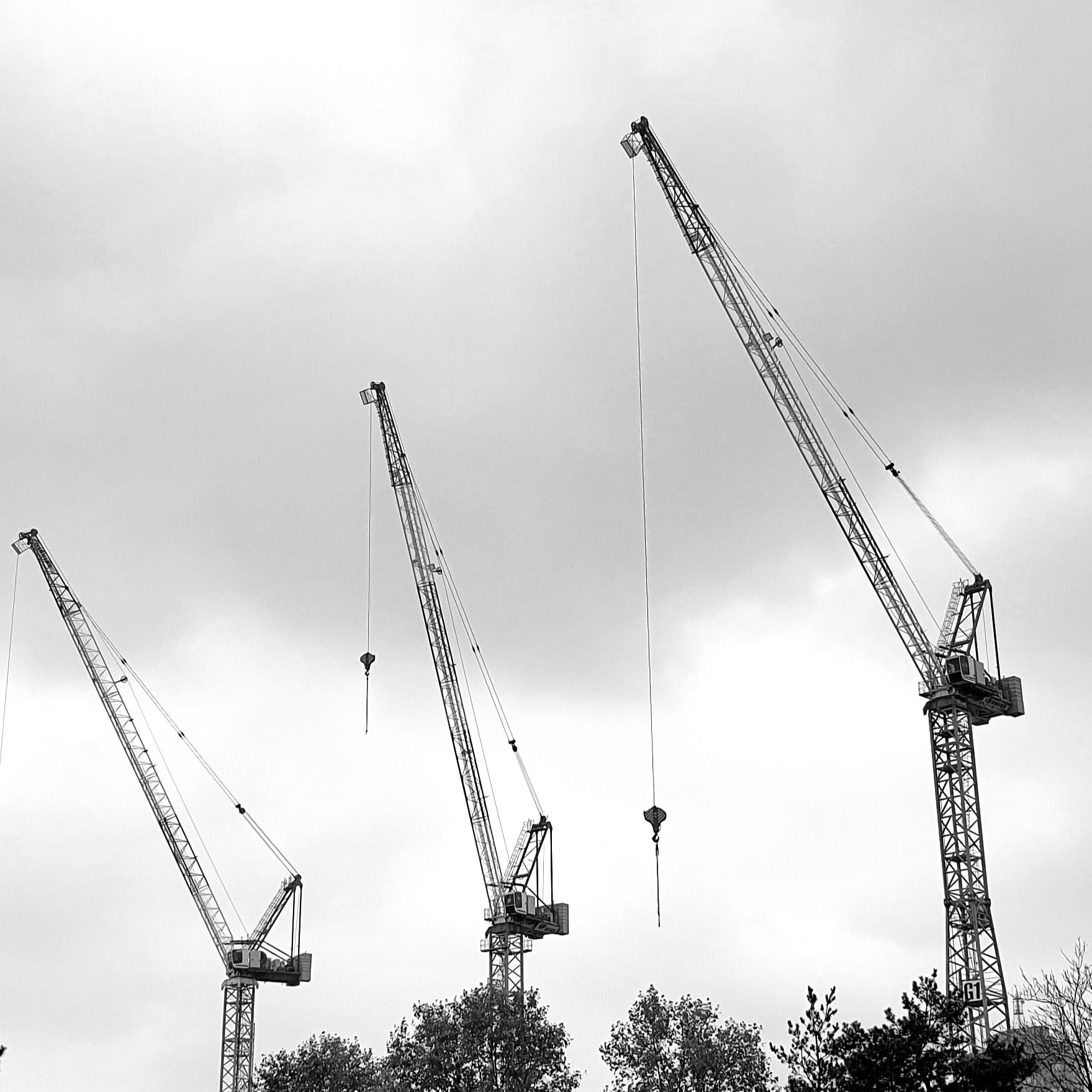 Grues au repos - Samsung Community