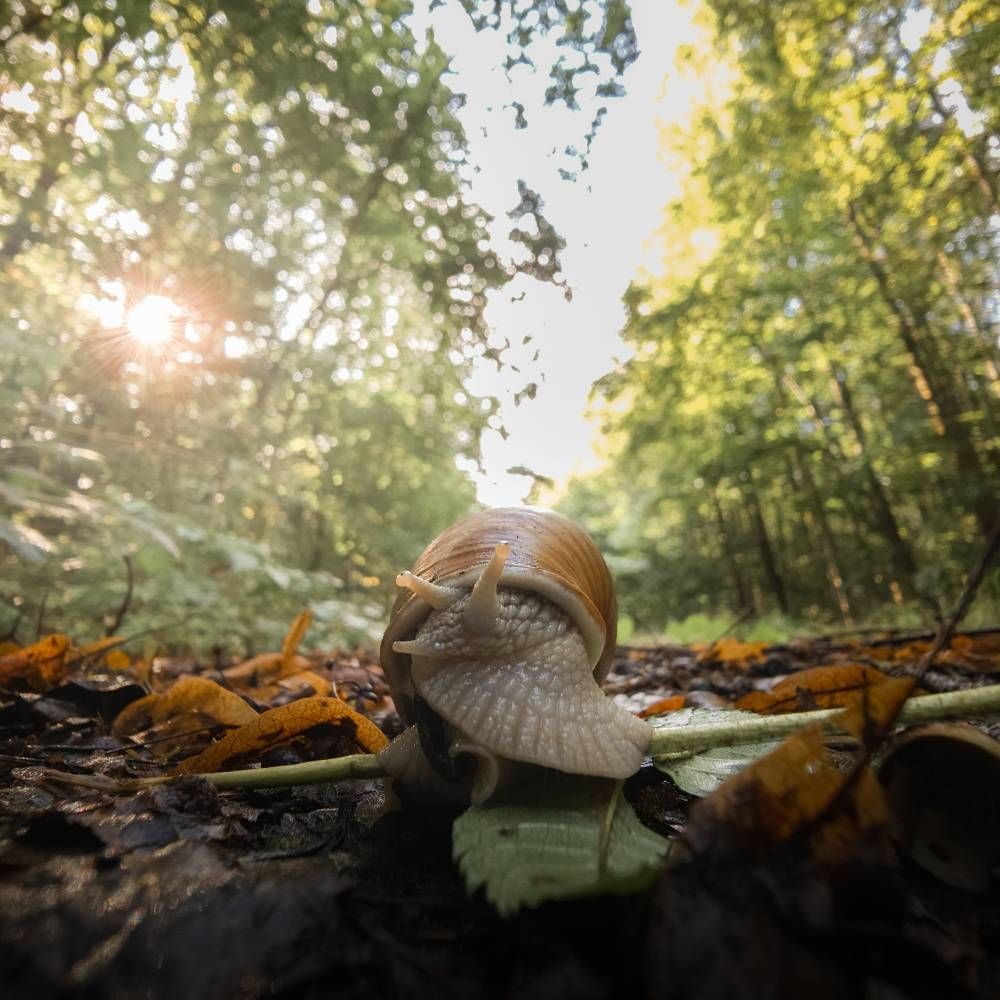 Langsam unterwegs. - Samsung Community