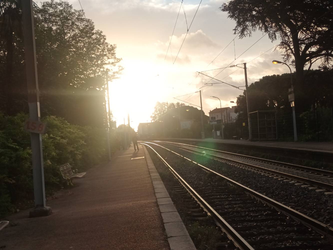 Petit bonjour du dimanche - Samsung Community