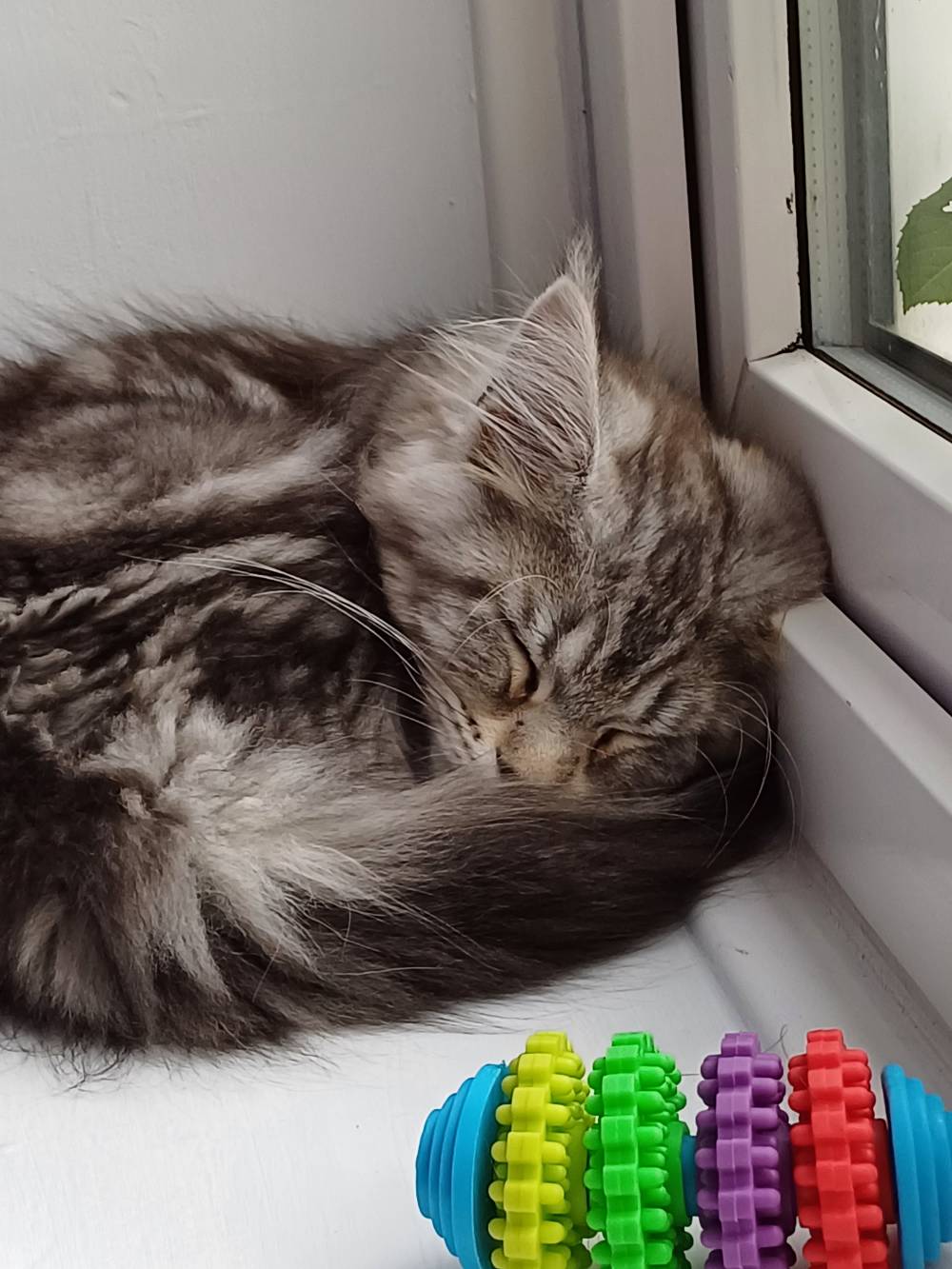 Arnah - Samsung Community