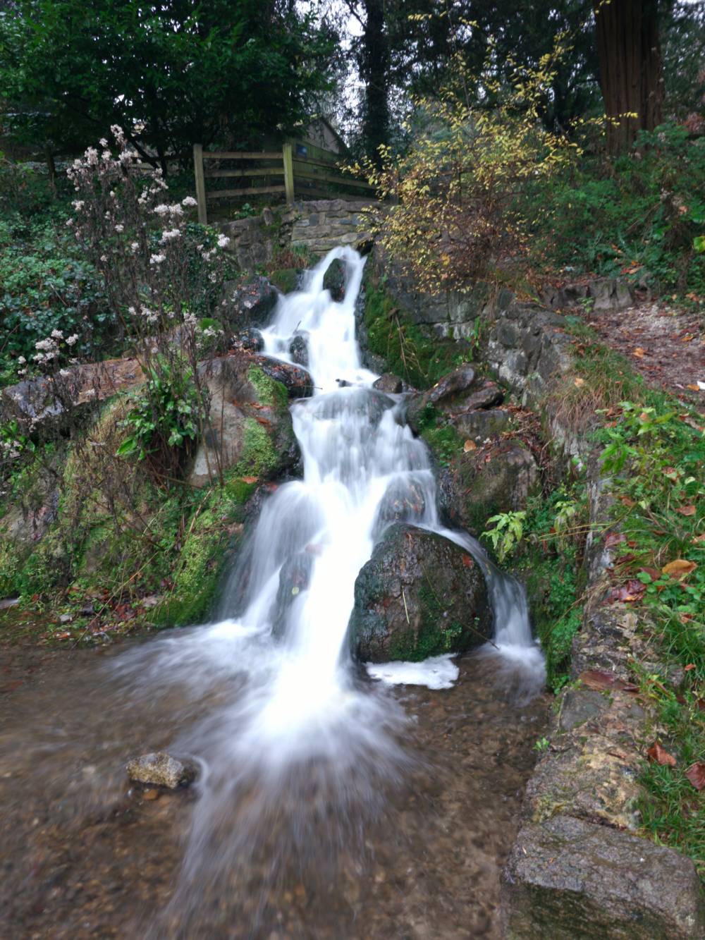 Expert RAW ND Filter New Feature - Samsung Community