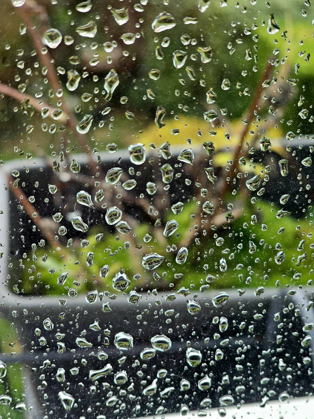 Comme un dimanche de décembre... - Samsung Community