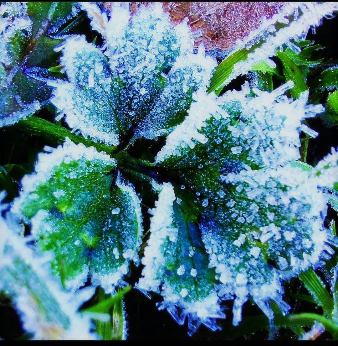 Winter is coming - Samsung Community