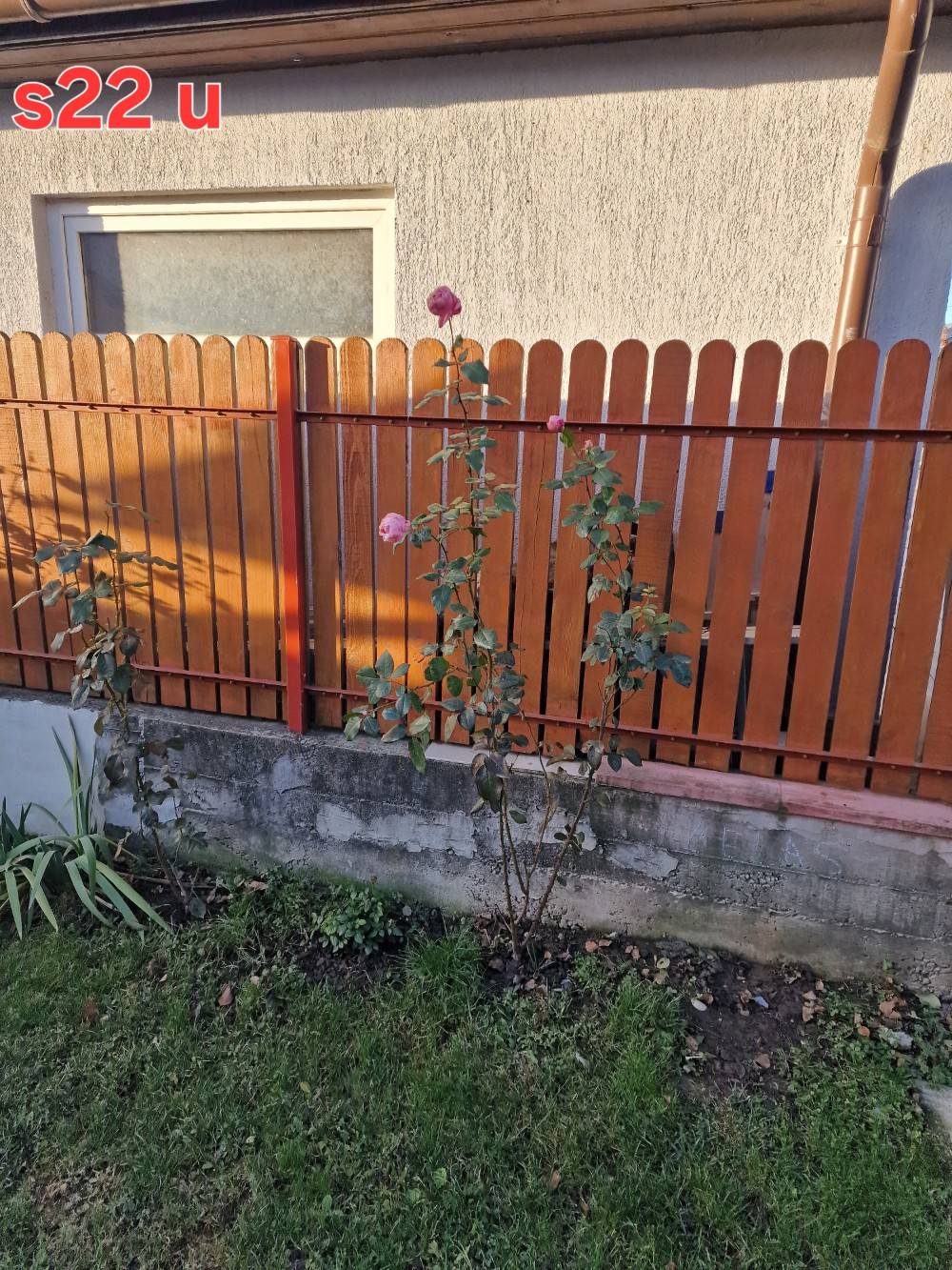 Poze ,video - Samsung Community