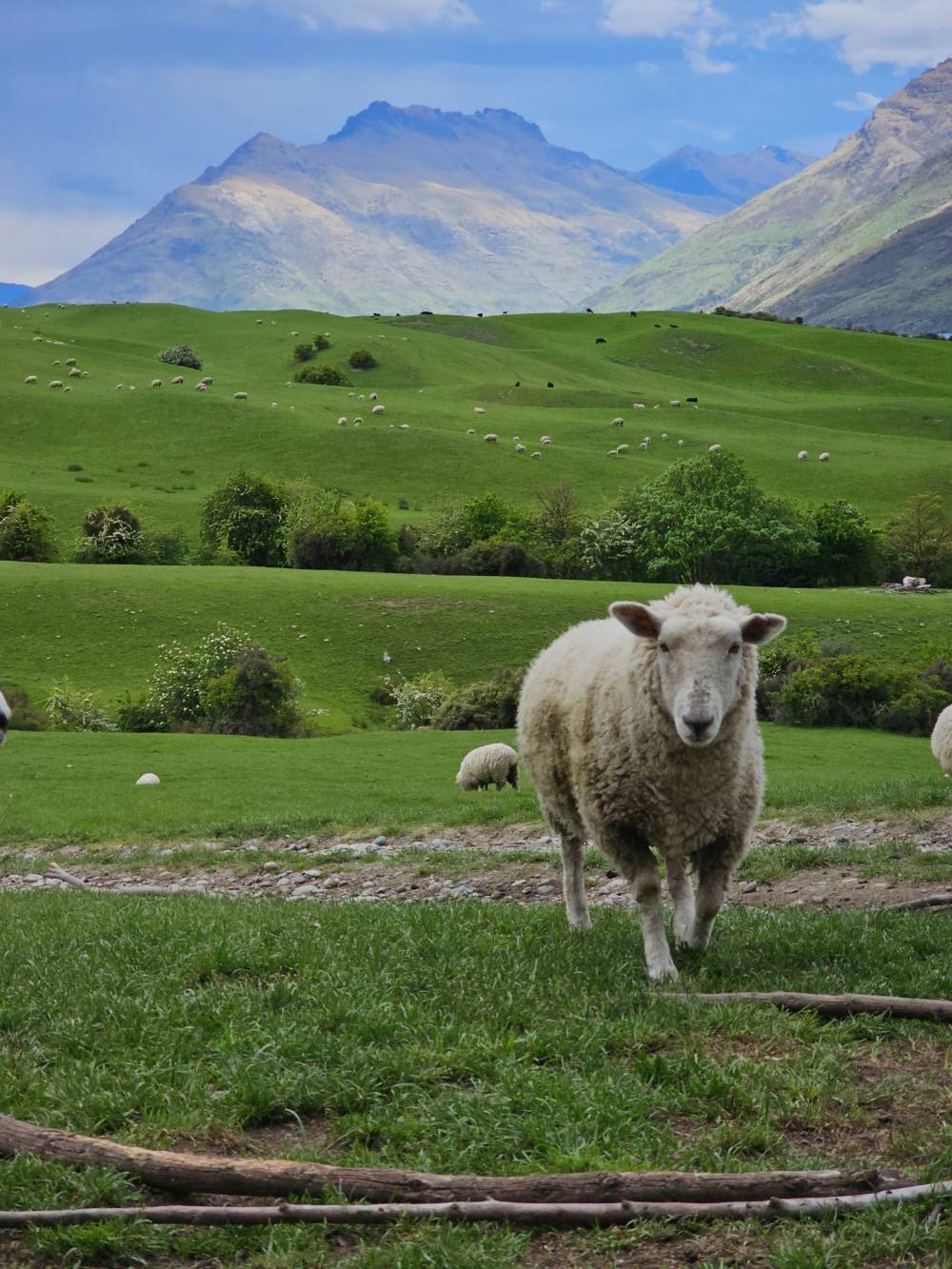 Problema con fotos que introducen tonos azulados - Samsung Community