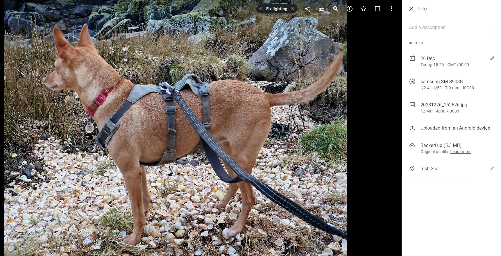 Solved: Camera automatically removed background to several photos ...