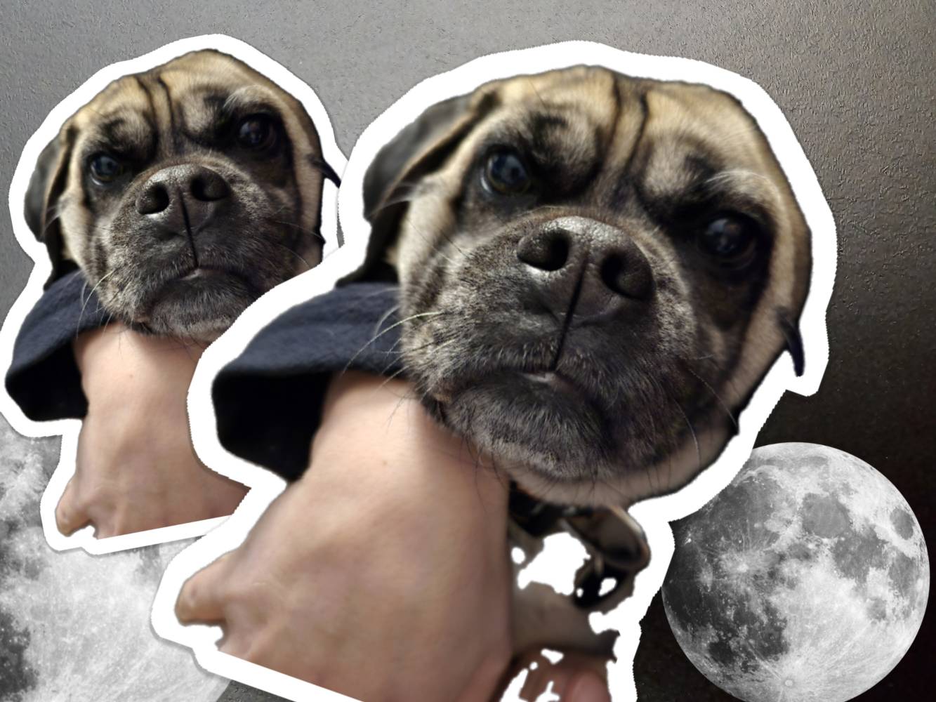 S24 stickers - Samsung Community