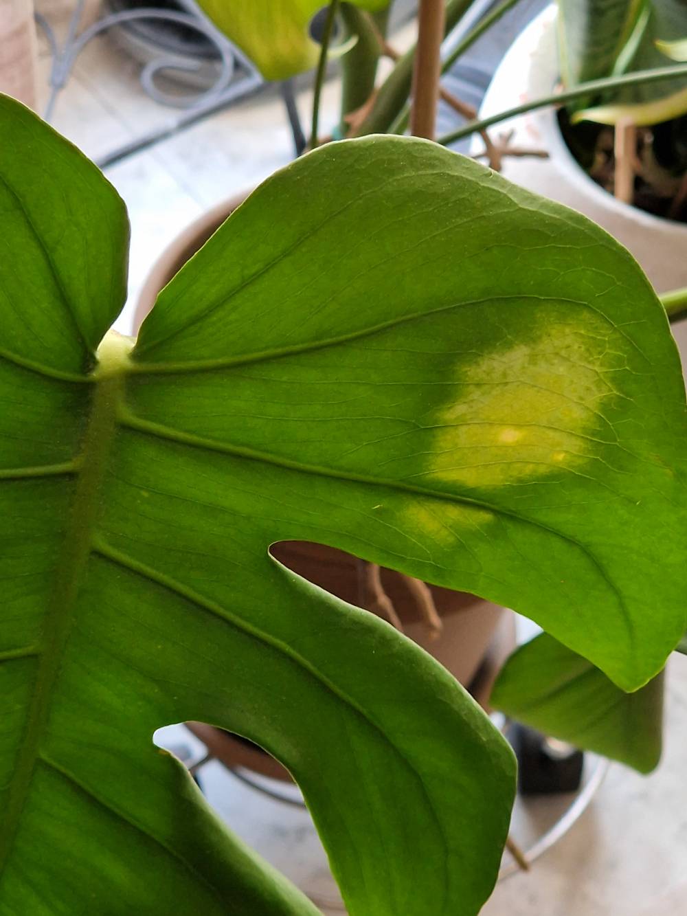 Zoom 30x - Samsung Community