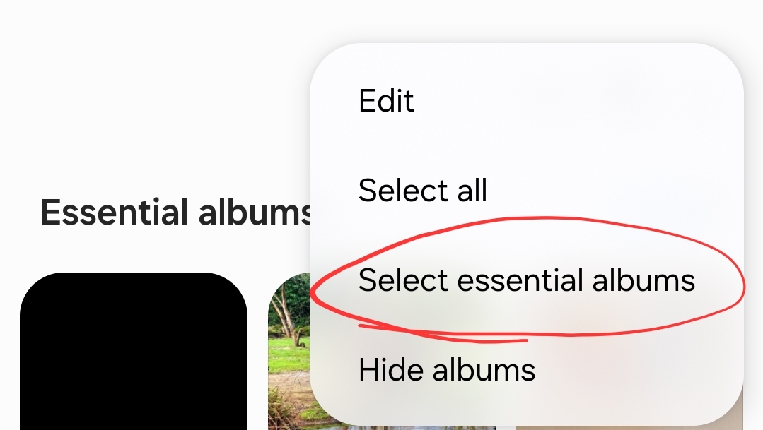 How do I get my photos from my files back to gallery!! All help ...