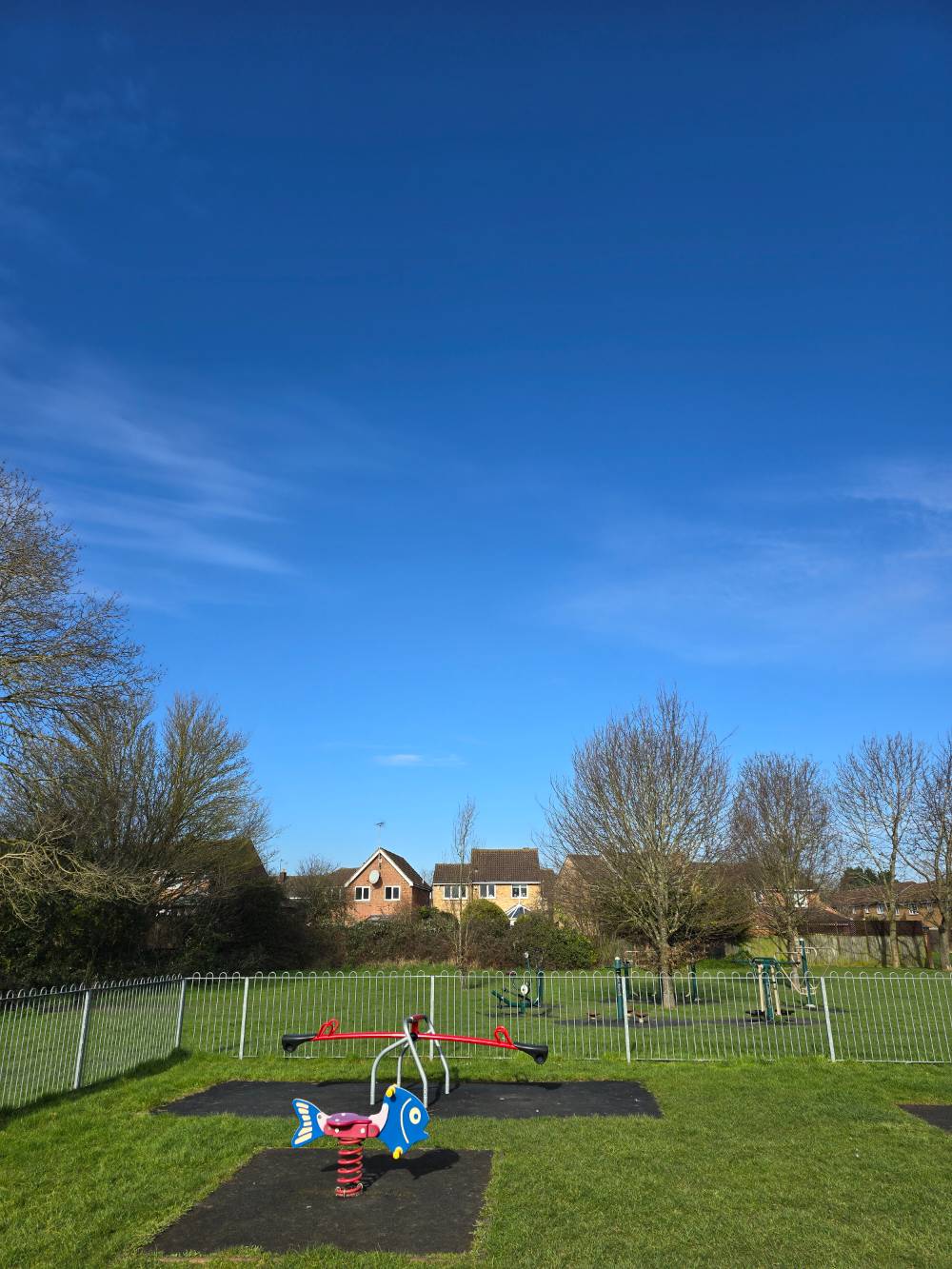 S24 camera color banding - Samsung Community