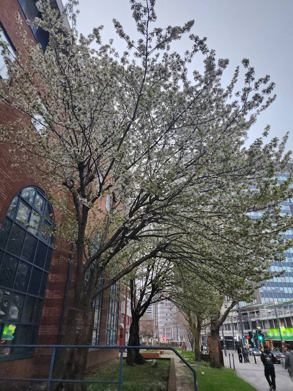 Spring - Samsung Community