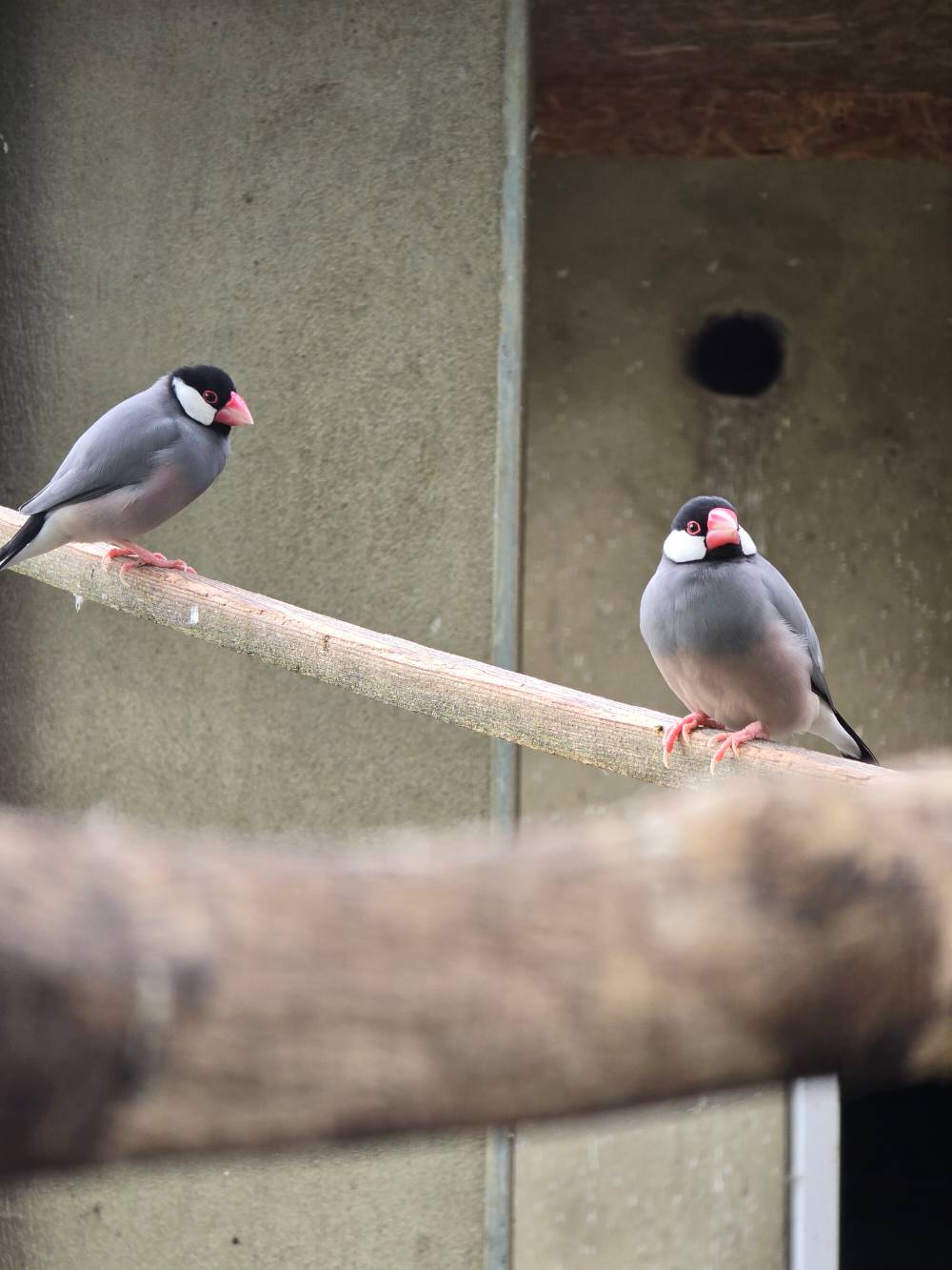 Camera Review Part 2 - The Zoom Lenses - Samsung Community