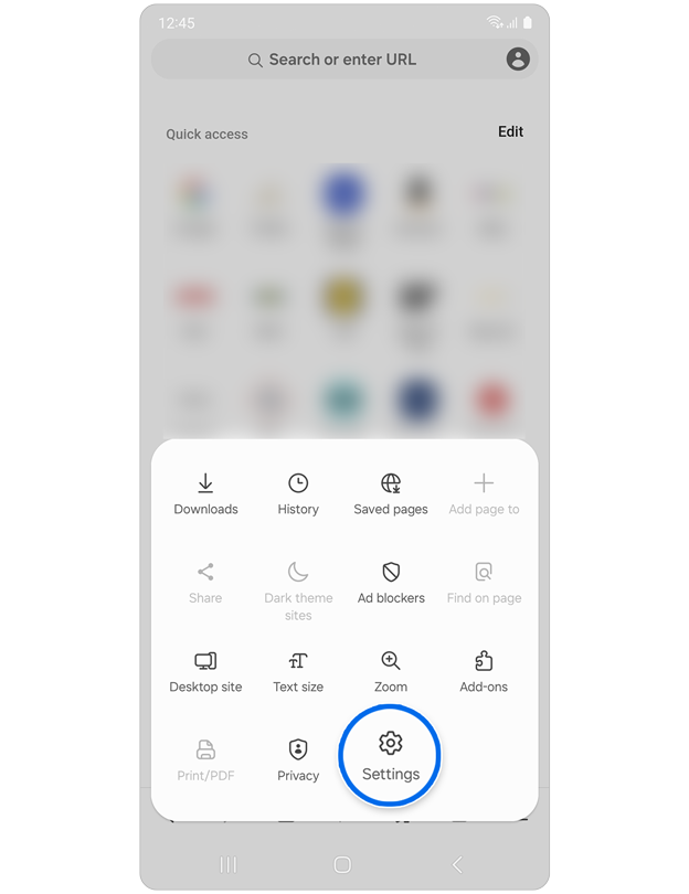 How to set up and use the Browsing assist features on the Galaxy S24 ...
