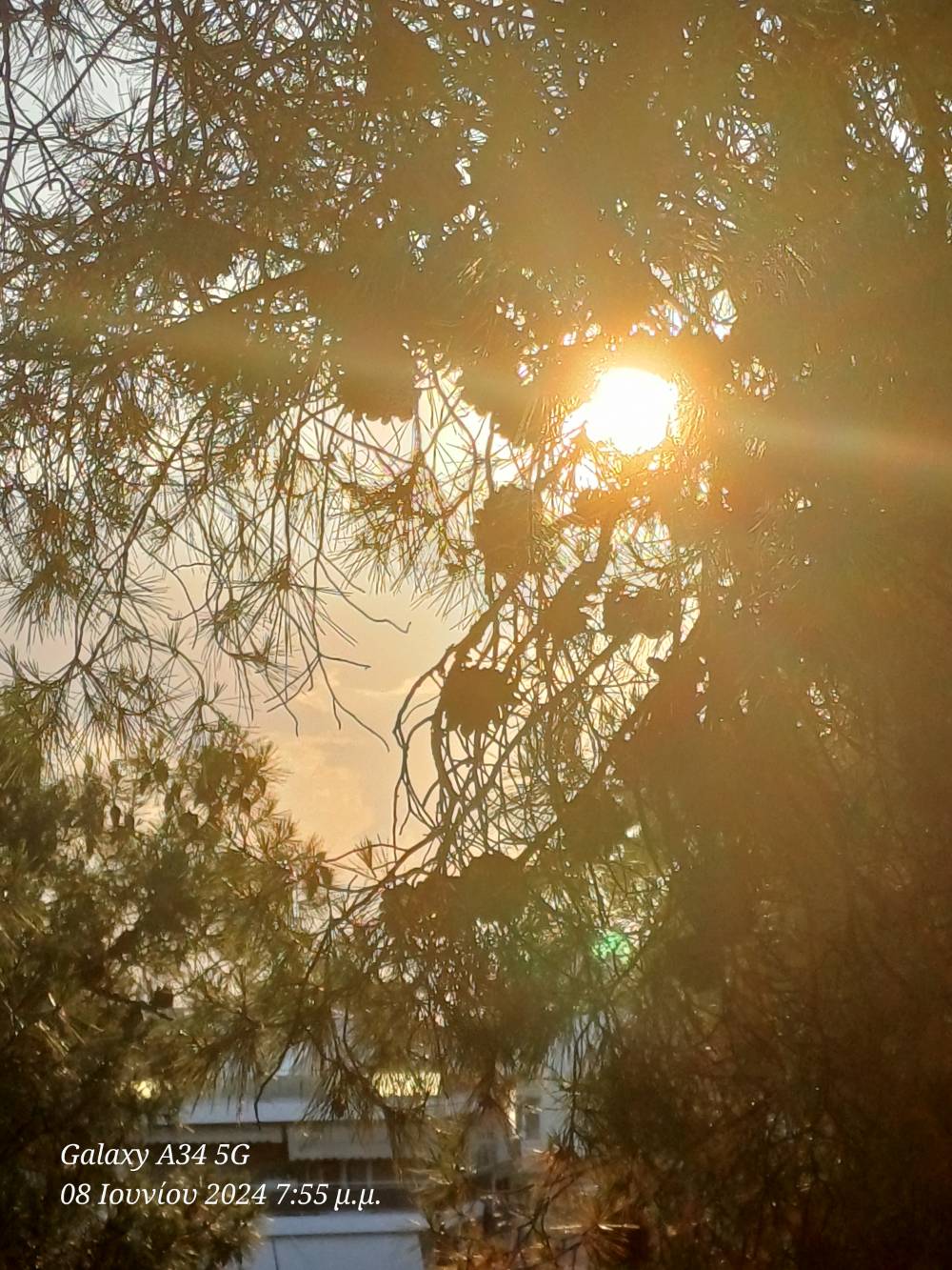 Sunny Landscapes рџњћрџњ Samsung Community