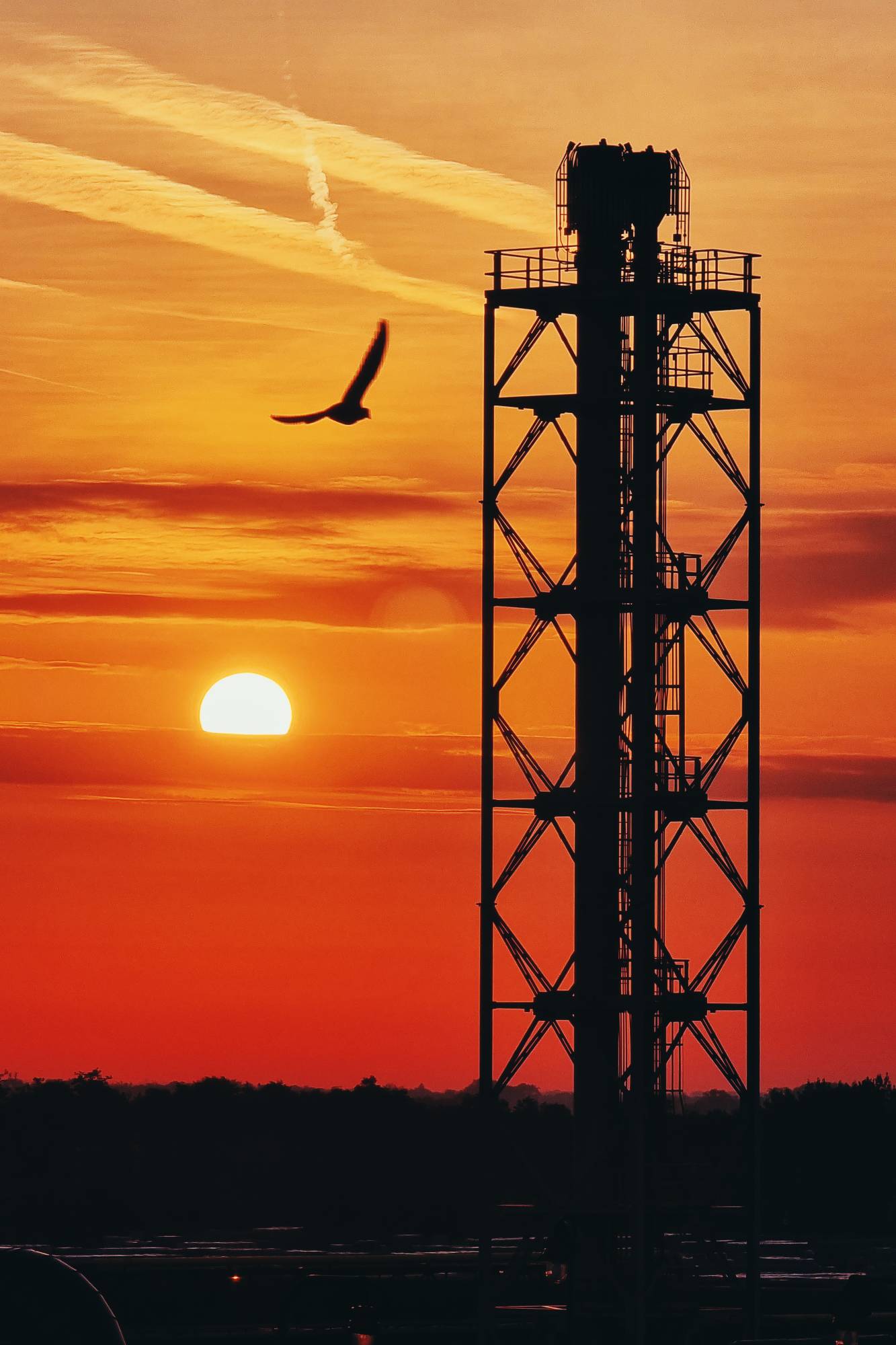 Flight with sunrise ️ - Samsung Community