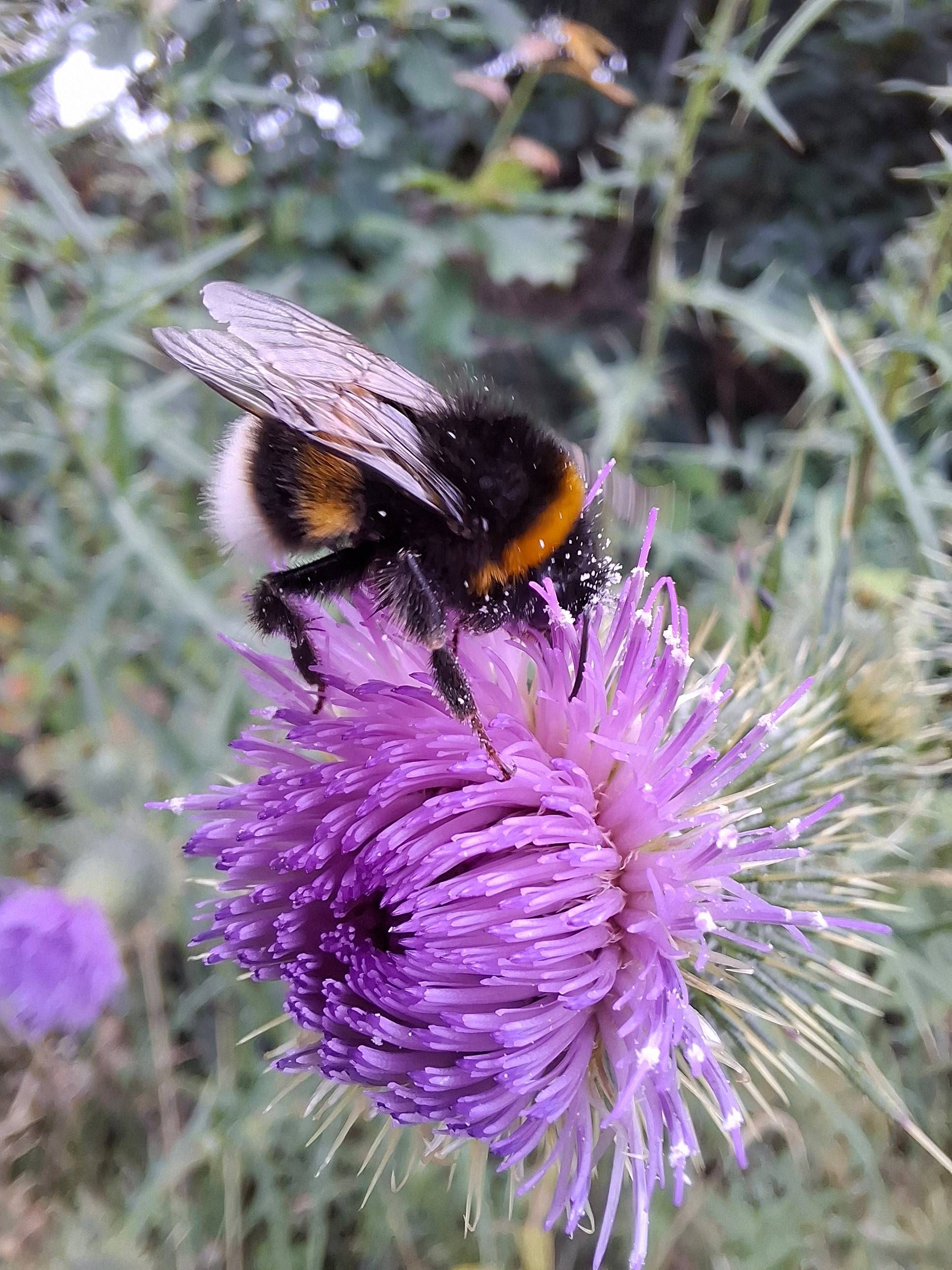 Lekker bezig - Samsung Community