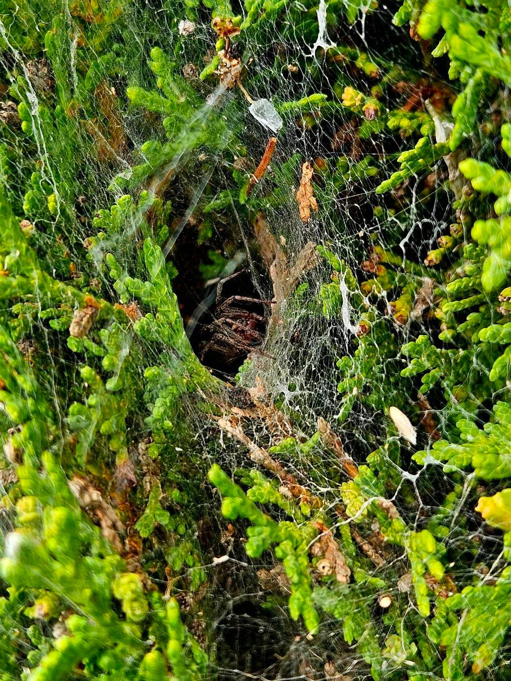 Welcome To The Jungle Guns N’ Roses - Samsung Community