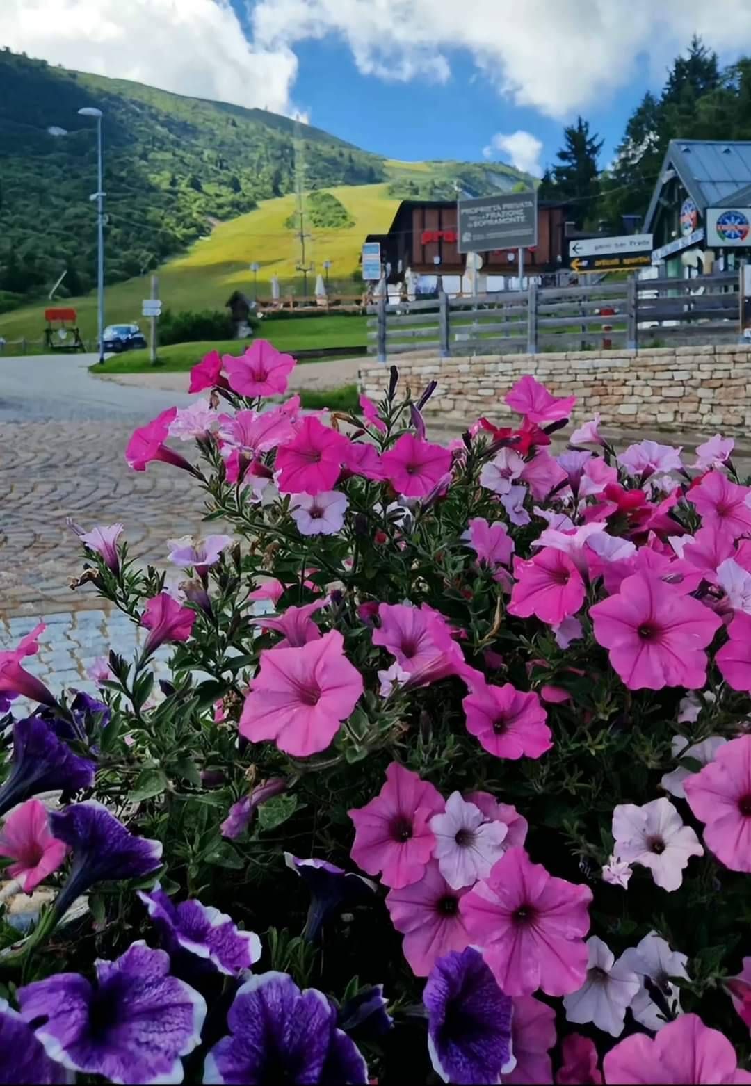 BONDONE TRENTO - Samsung Community