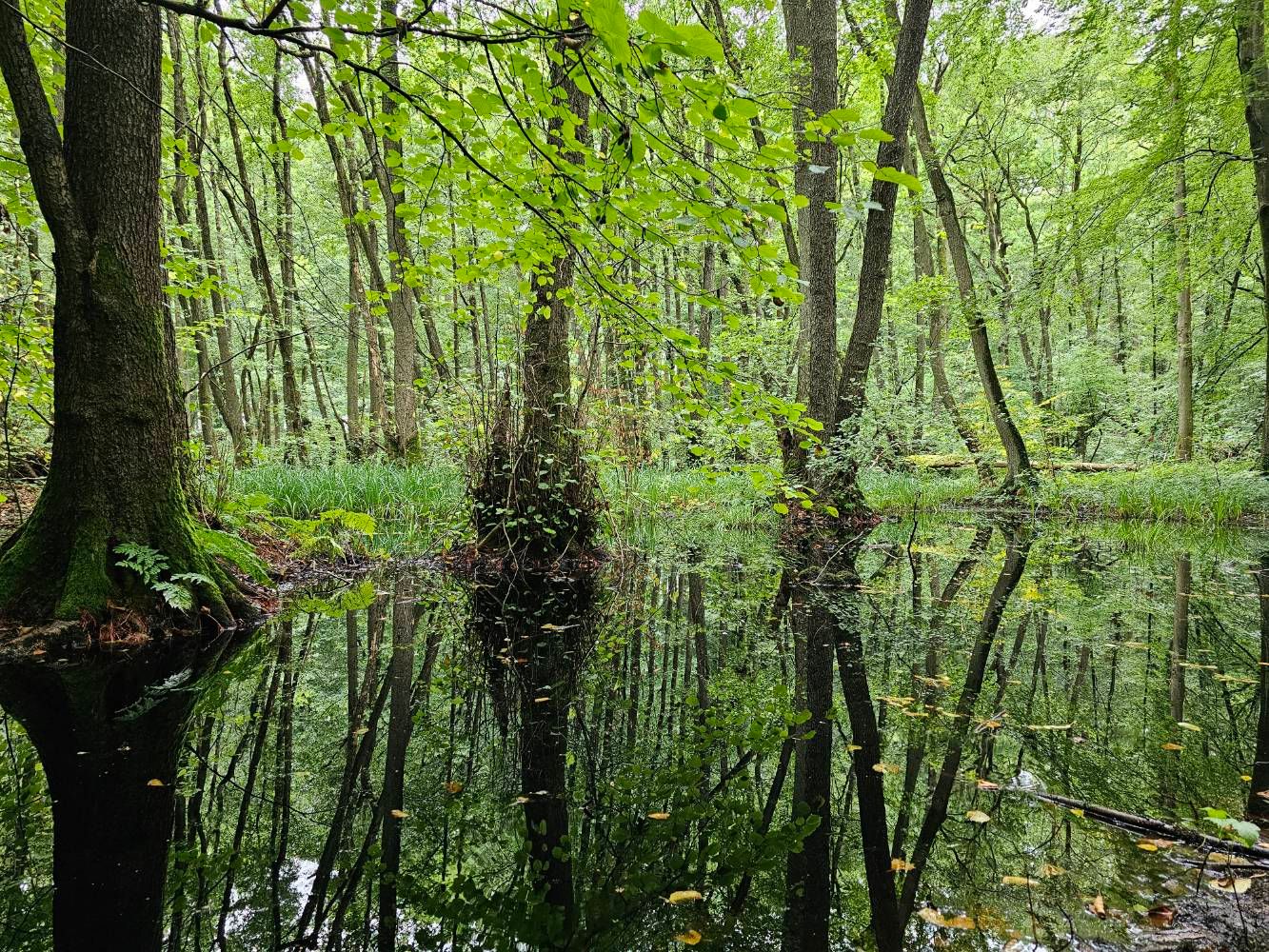 Schönen Rest-Sonntag!🙋🏼‍♂️ - Samsung Community