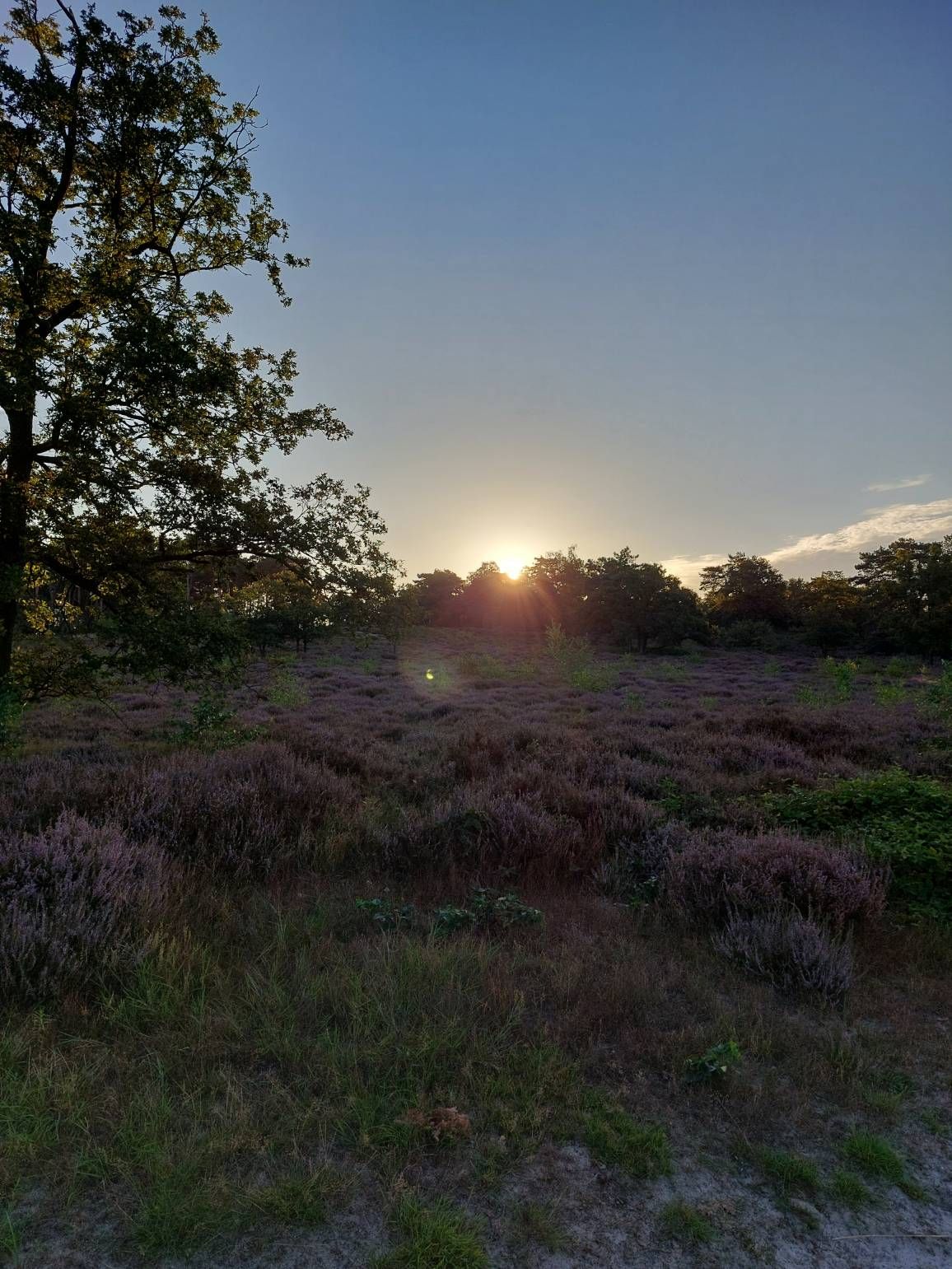 Een frisse neus halen doet wonderen. - Samsung Community