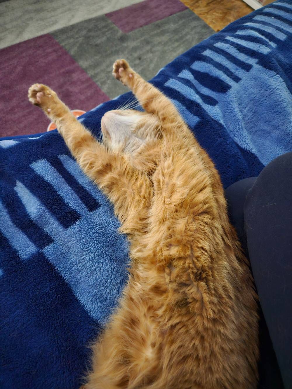 Kitku 🫠 - Samsung Community