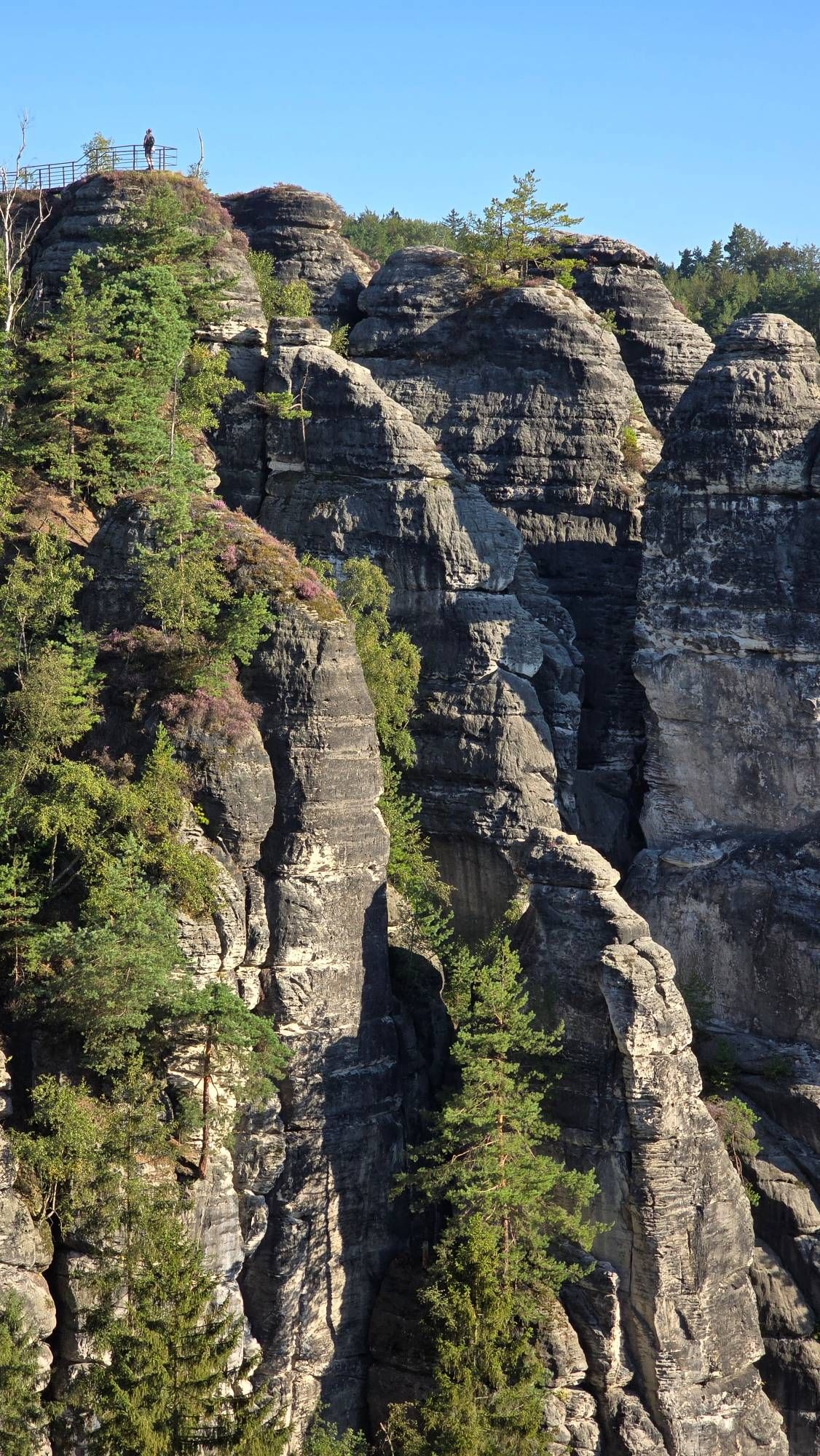 Saxony - Samsung Community