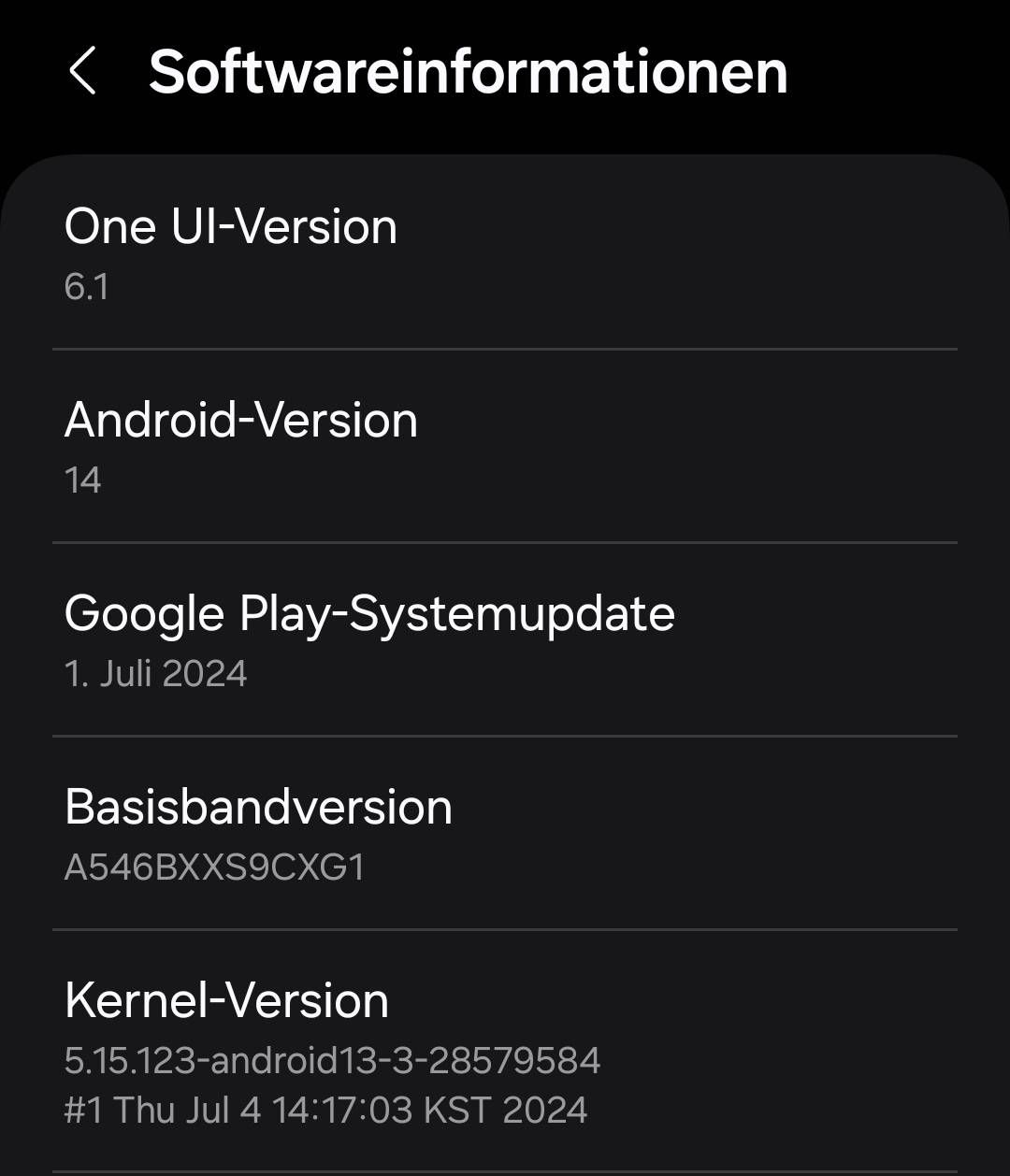 OneUi 6.1 / 1. Juli Fehler - Samsung Community